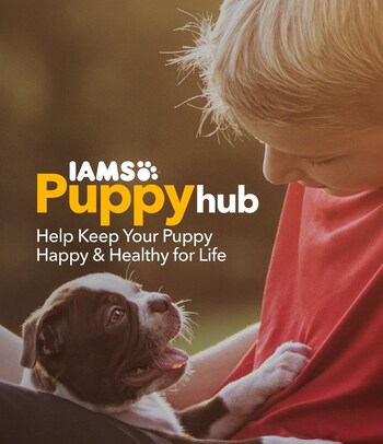 THE IAMS™ BRAND LAUNCHES ONLINE KITTEN AND PUPPY HUBS TO EMPOWER PET ...