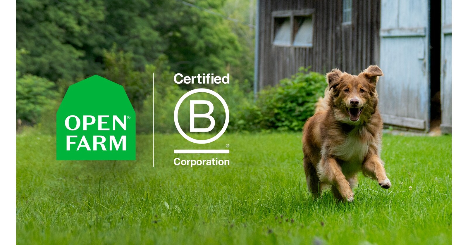 Open Farm Earns B Corp Certiﬁcation