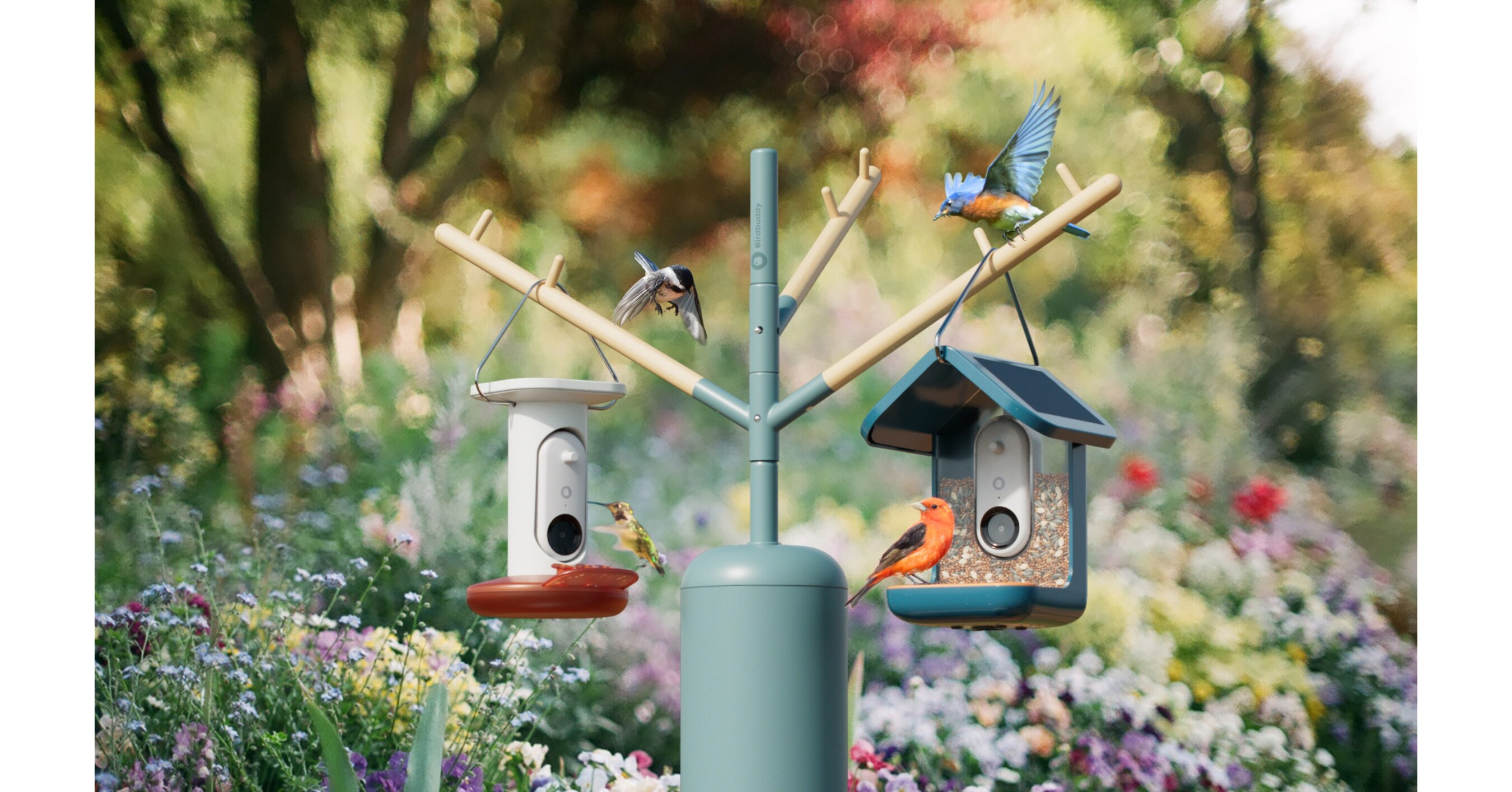 Bird Buddy Launches Nature Intelligence Allowing Users To Name ...
