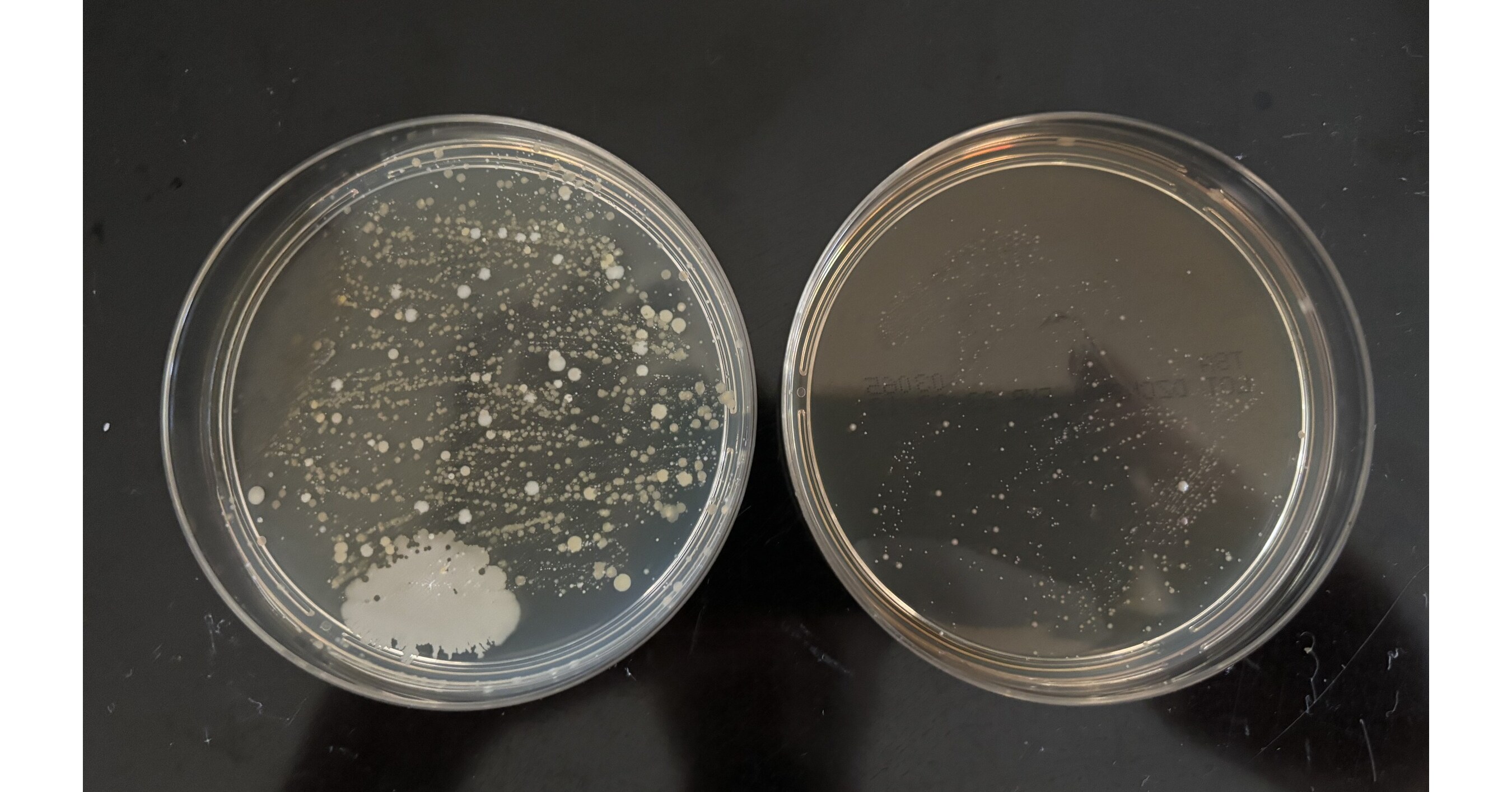 Green Science Alliance Developed Quantum Dot Based Anti-Bacterial ...