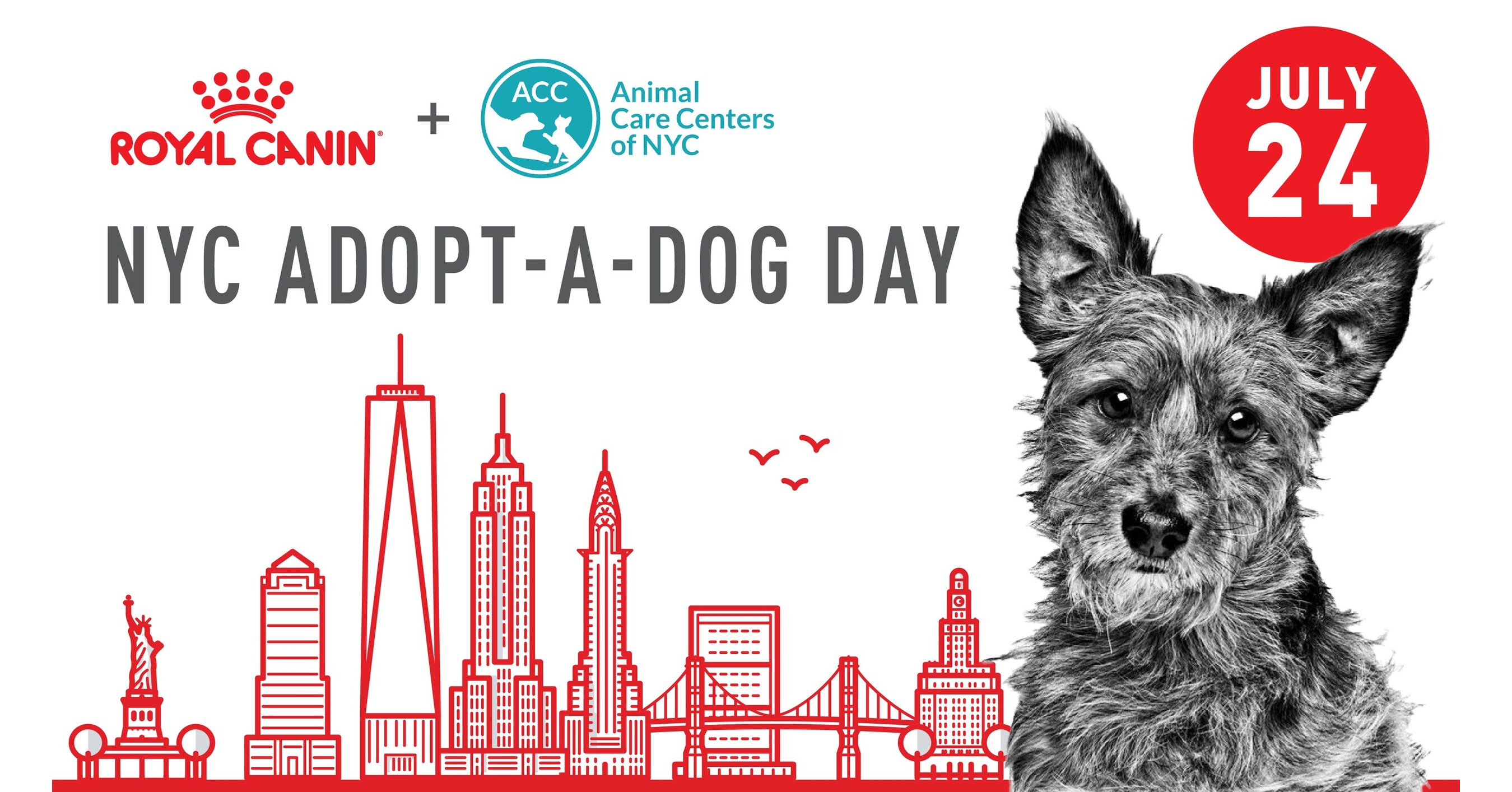 Royal Canin Covering Adoption Fees at Animal Care Centers of NYC (ACC ...