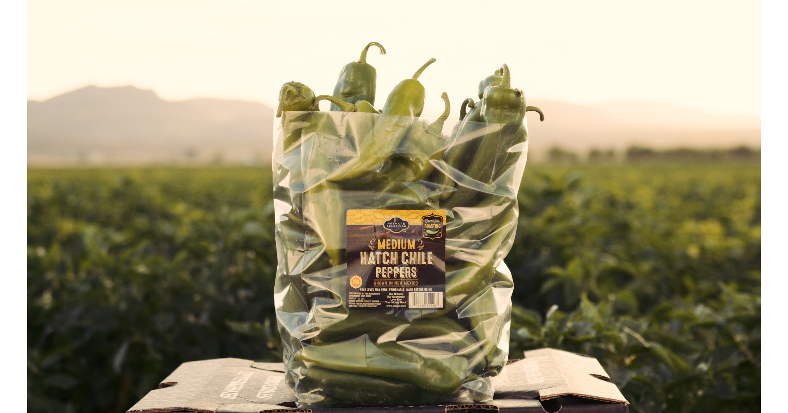 Hatch Chiles Have Arrived at Kroger