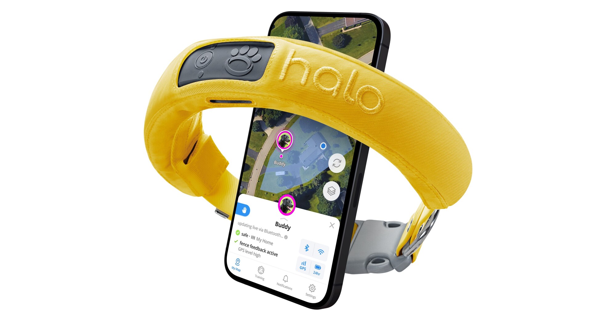 HALO COLLAR TRANSFORMS THE DOG CONTAINMENT INDUSTRY WITH GPS SAFETY ...