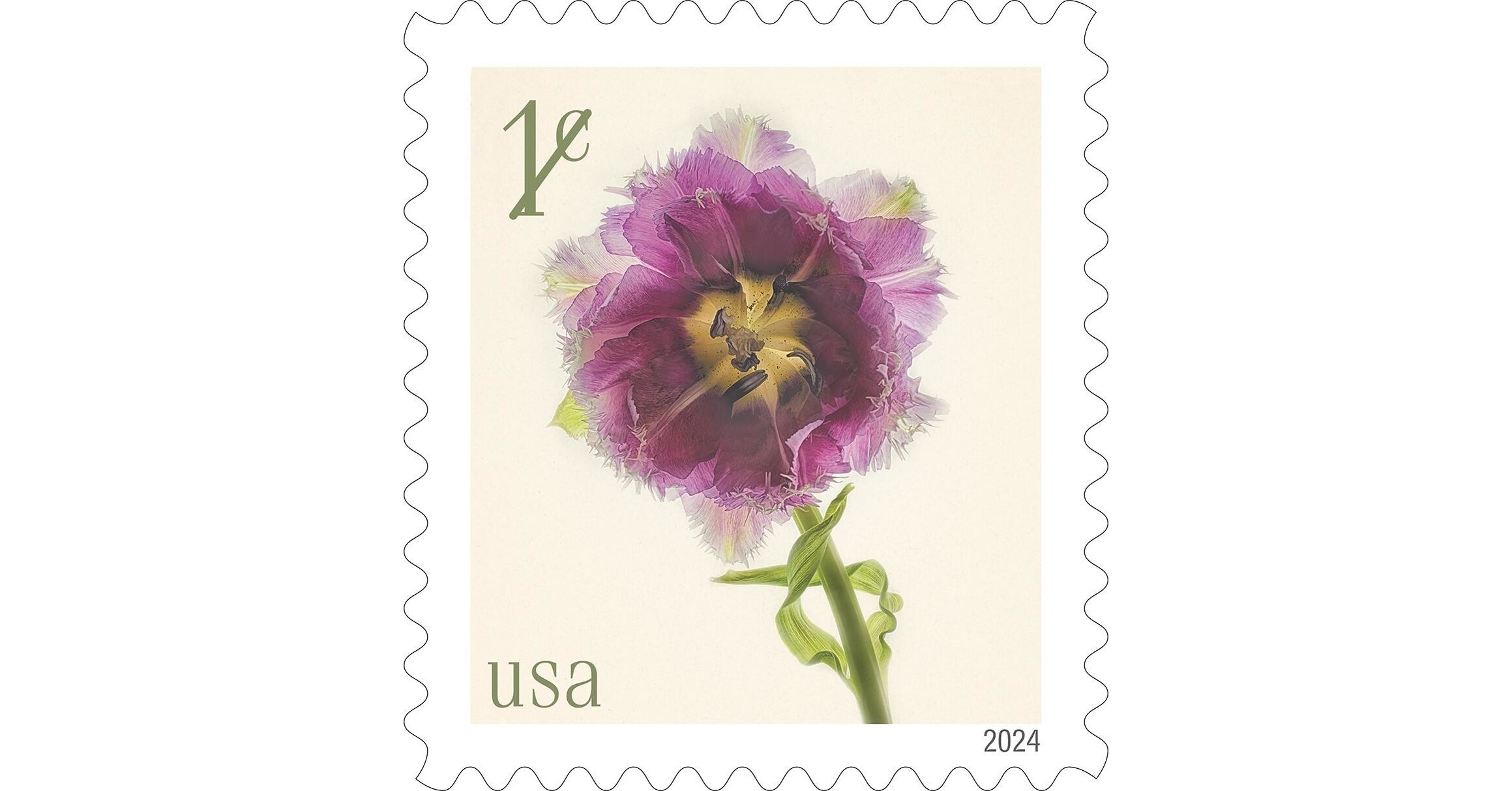 USPS Unveils Graceful Low-Denomination Flower Stamps