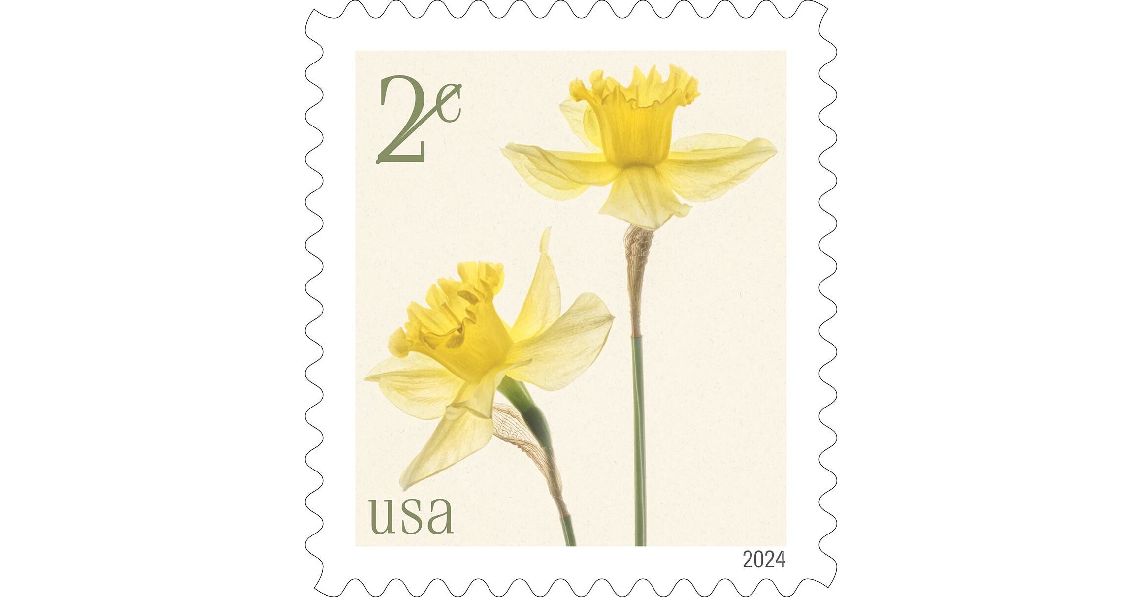USPS Unveils Graceful Low-Denomination Flower Stamps