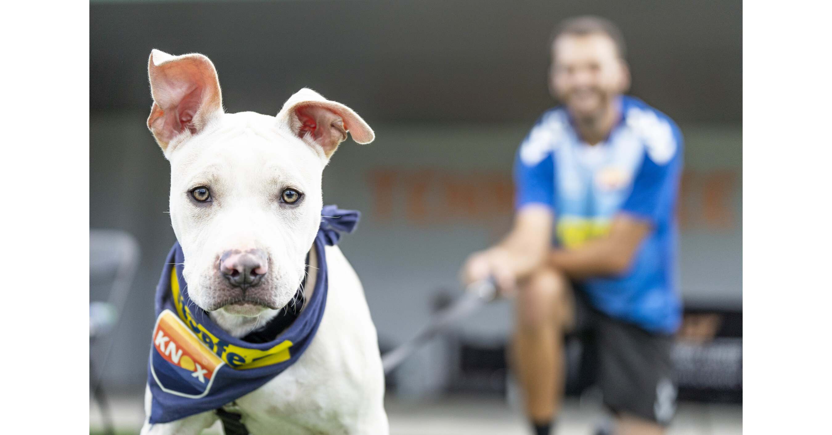 PetSafe® Celebrates One Knox Mascot "Gotcha Day" By Inviting Local Fans ...