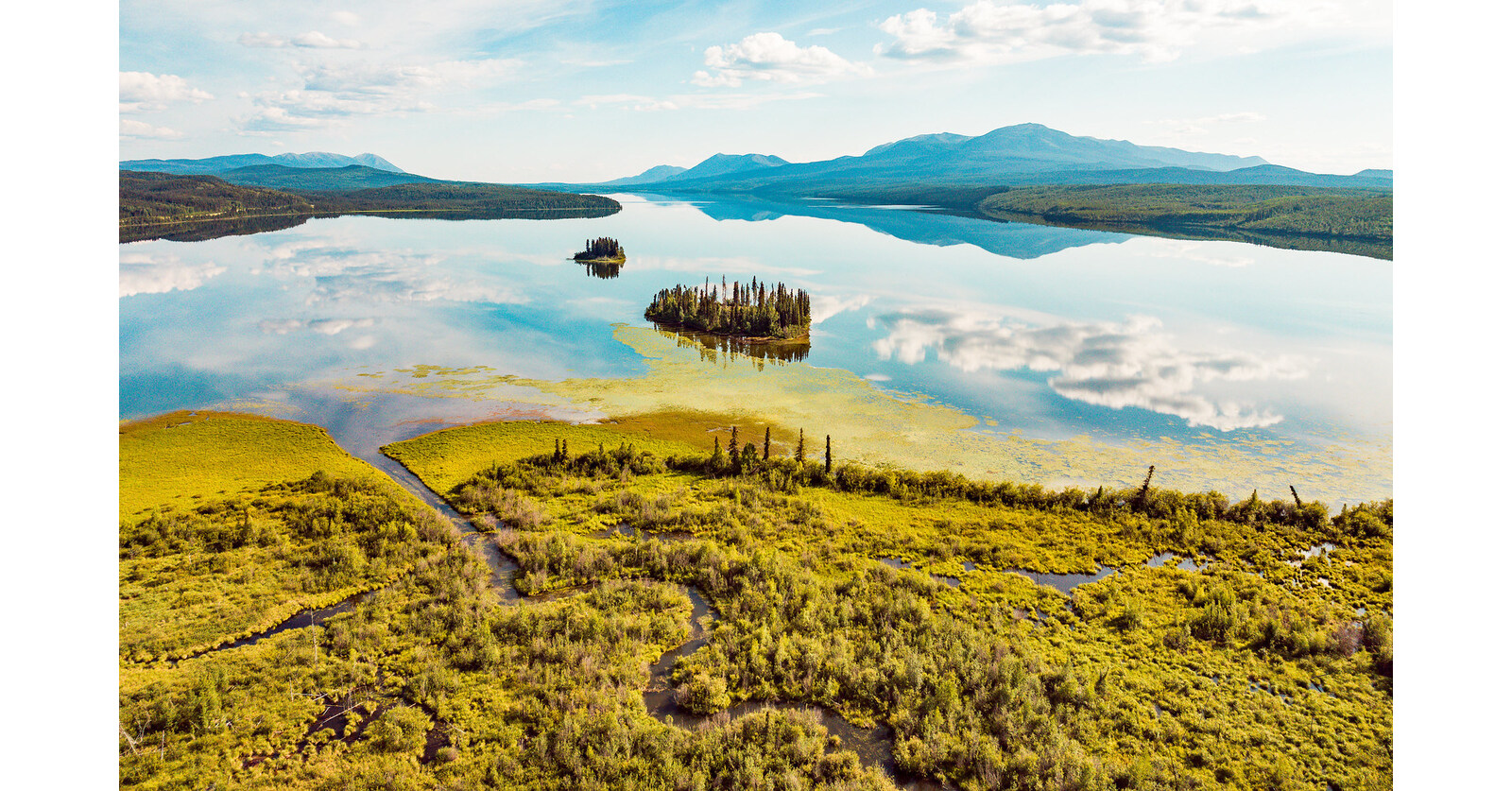 New Ducks Unlimited Canada field guide highlights the vital role of ...