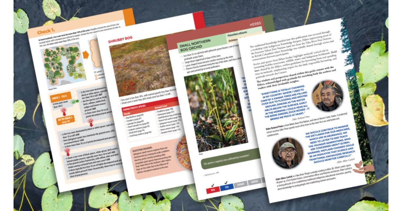 New Ducks Unlimited Canada field guide highlights the vital role of ...