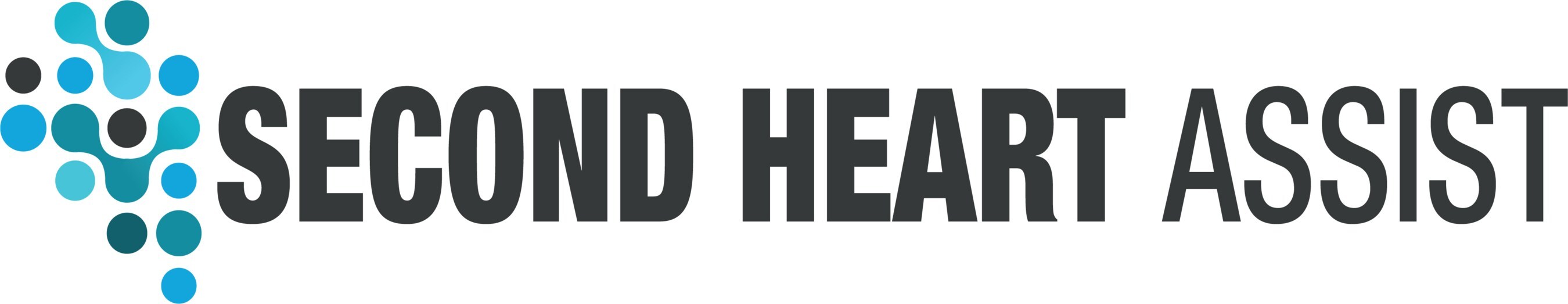 Second Heart Assist Announces an Impressive Successful Completion of a ...