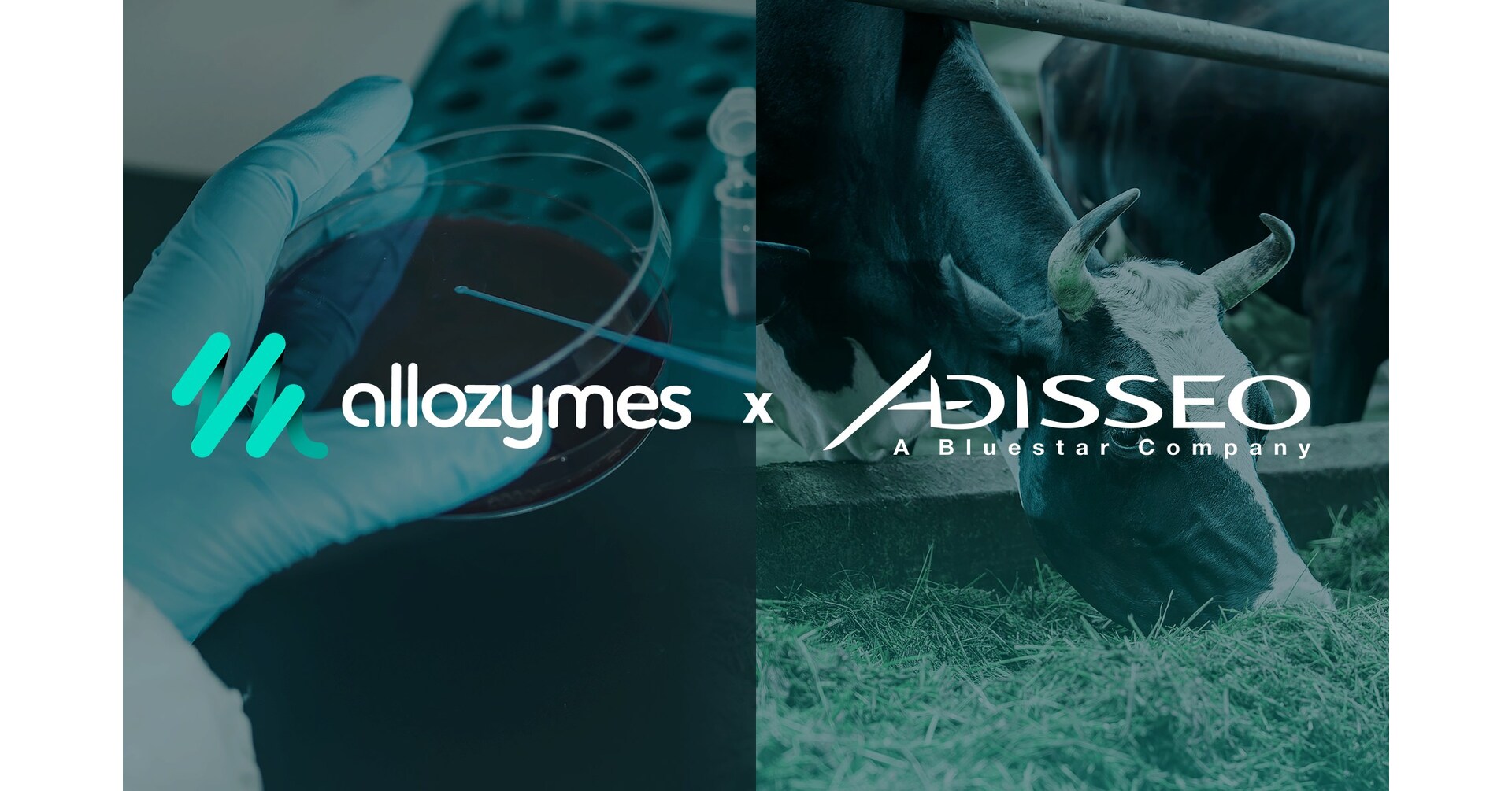 Allozymes and Adisseo Partner on Next-Gen Animal Feed Production Using ...