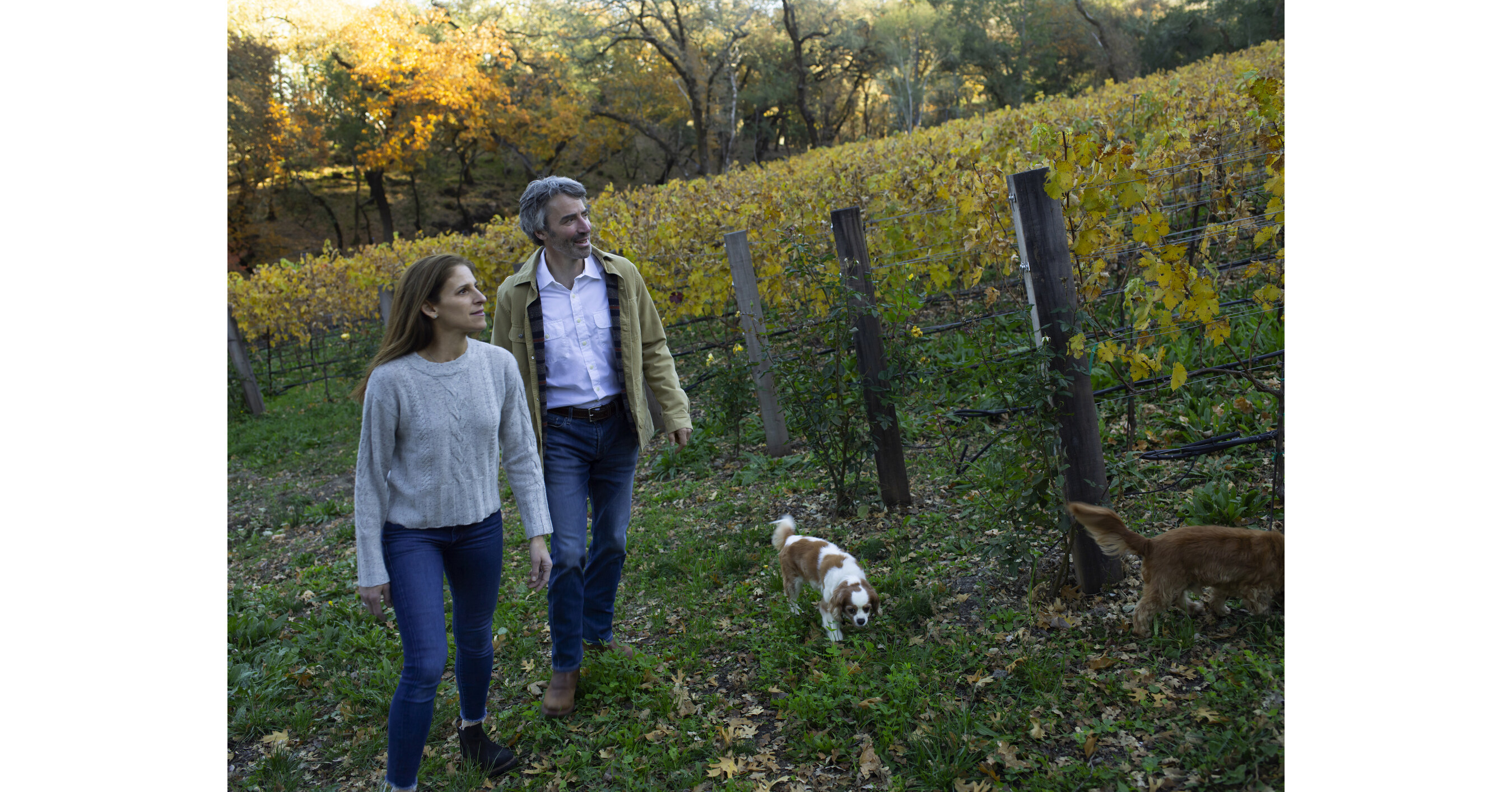 Arborum Napa Valley Commits $1 Million to Local and Environmental ...