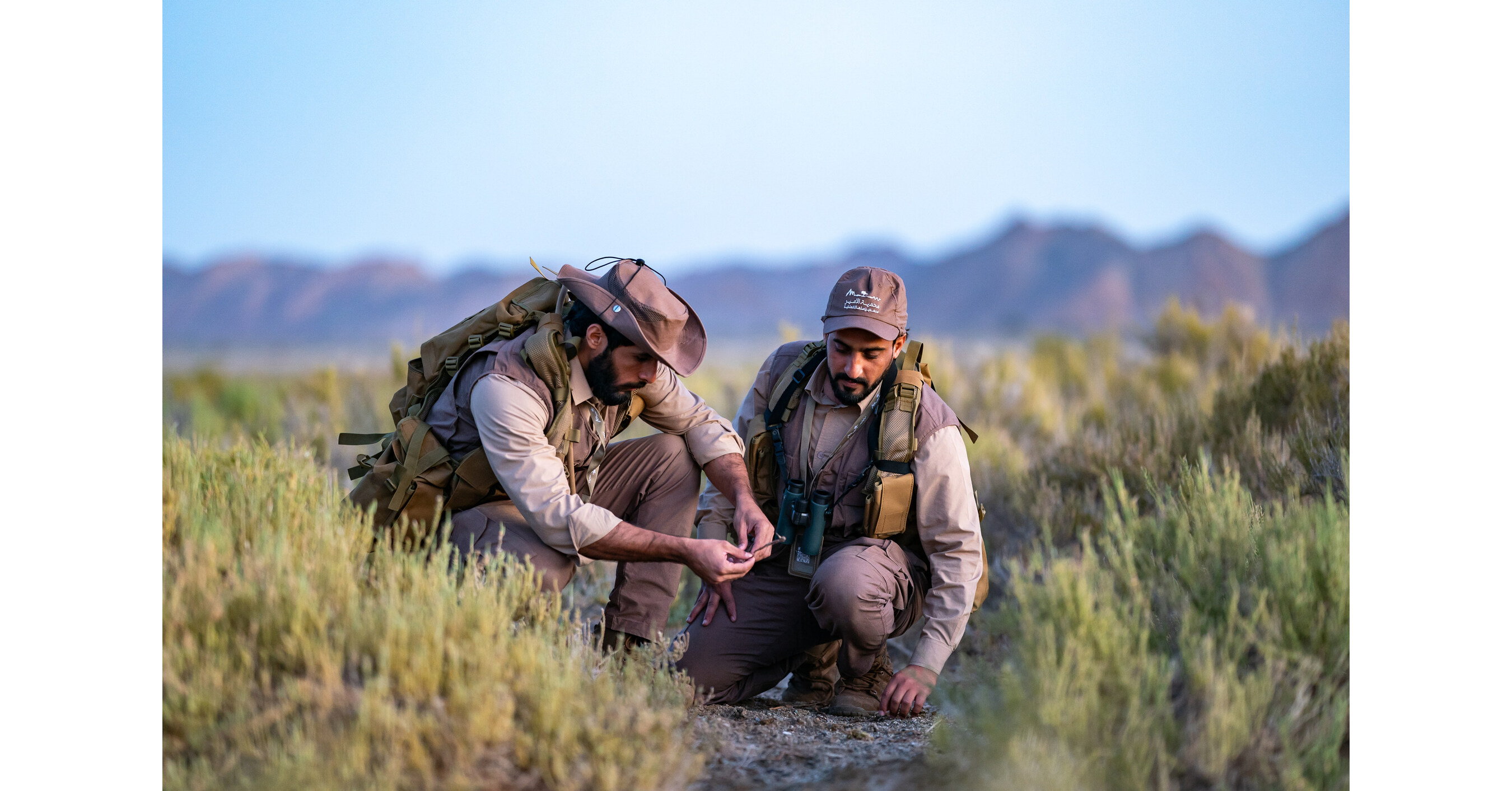 The Board of Directors of the Prince Mohammed bin Salman Royal Reserve ...