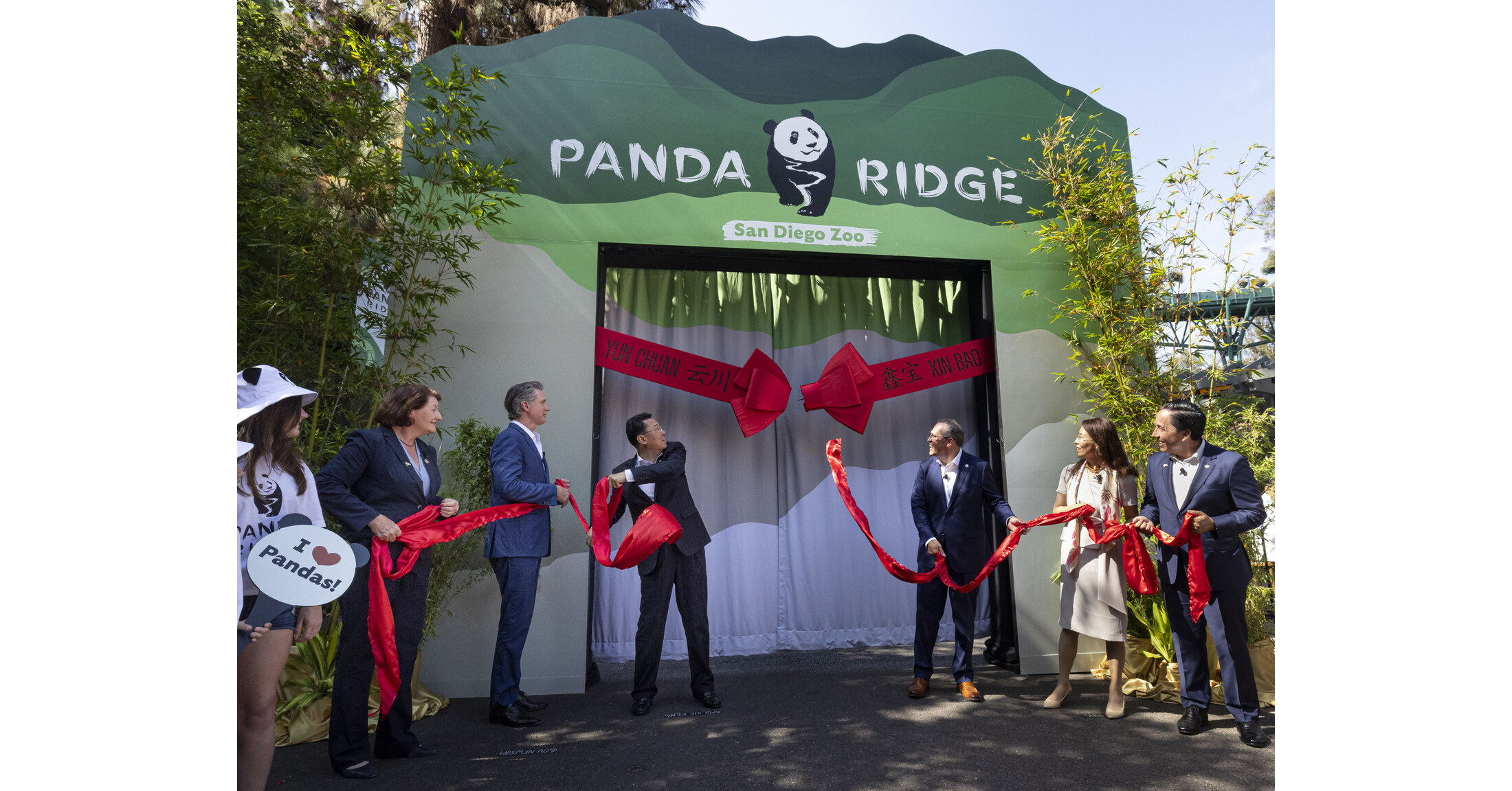 Giant Pandas Make Public Debut During Historic Day at San Diego Zoo