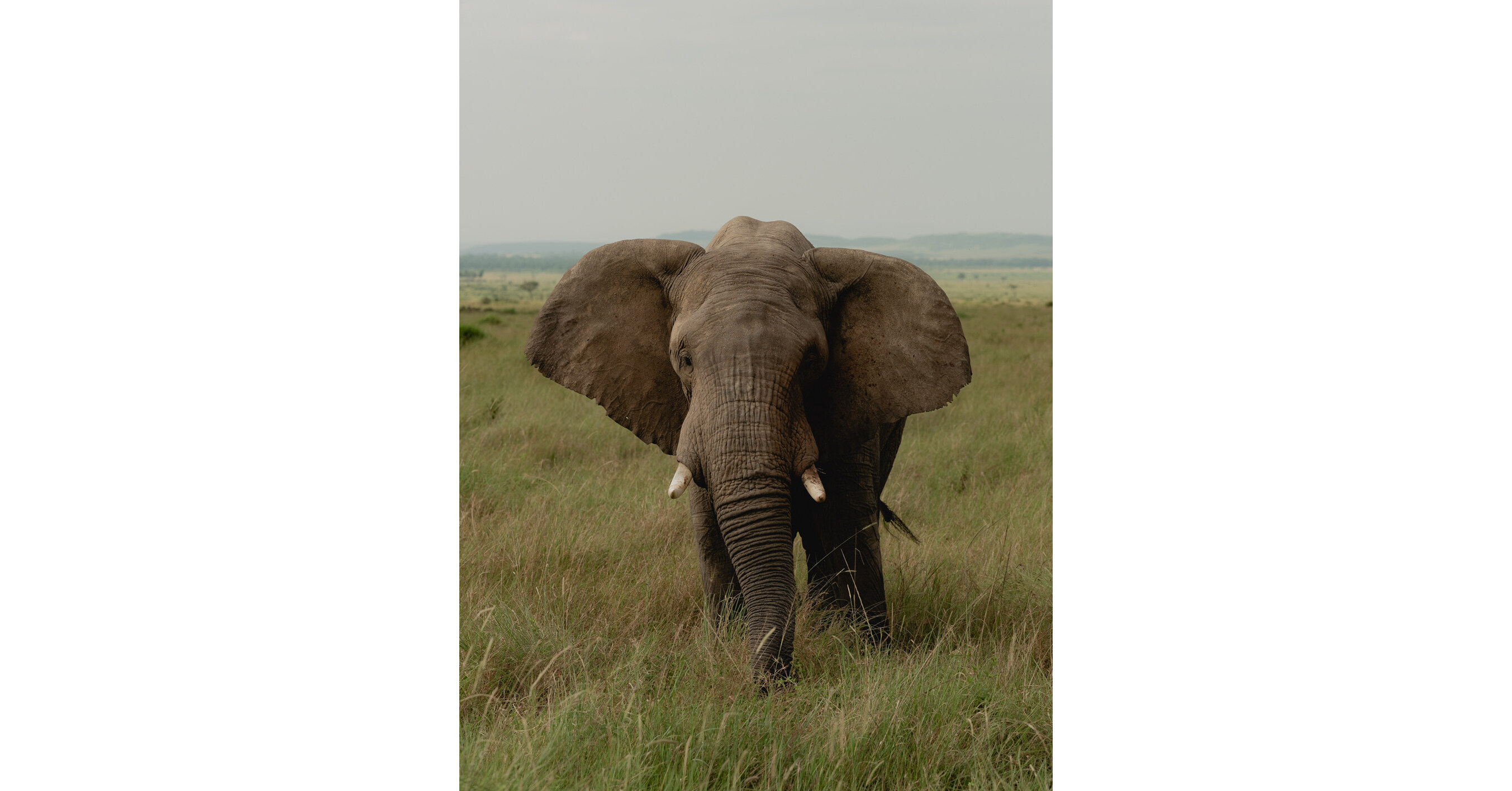 AKTG Secures $500 Million Of Financing From Citi To Fund Its Continued ...