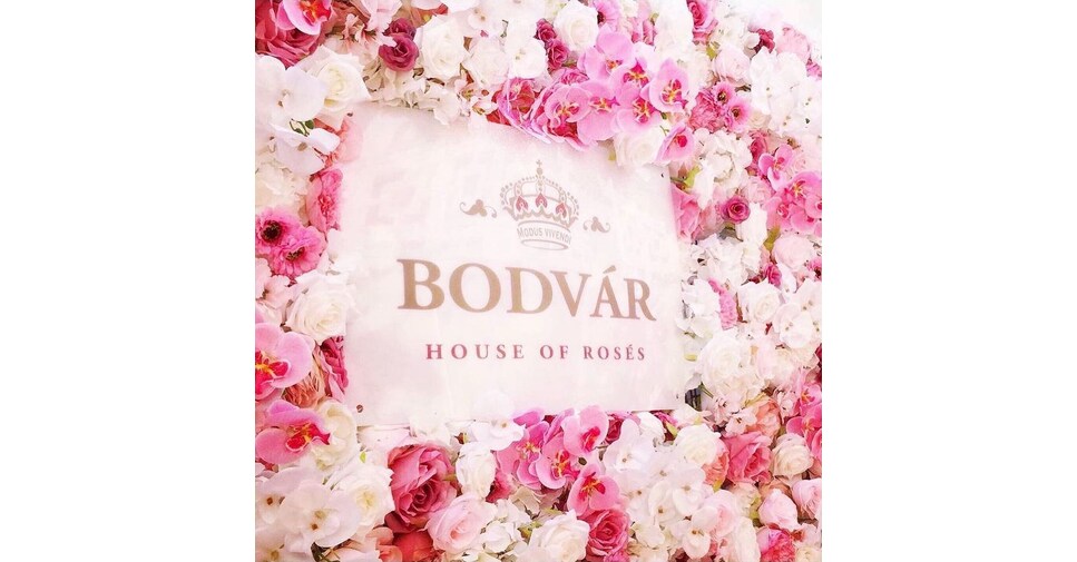 Bodvár Rosé and DJ Furkan Sert Unite Music and Rosé with Hit Song 'Bodvár'