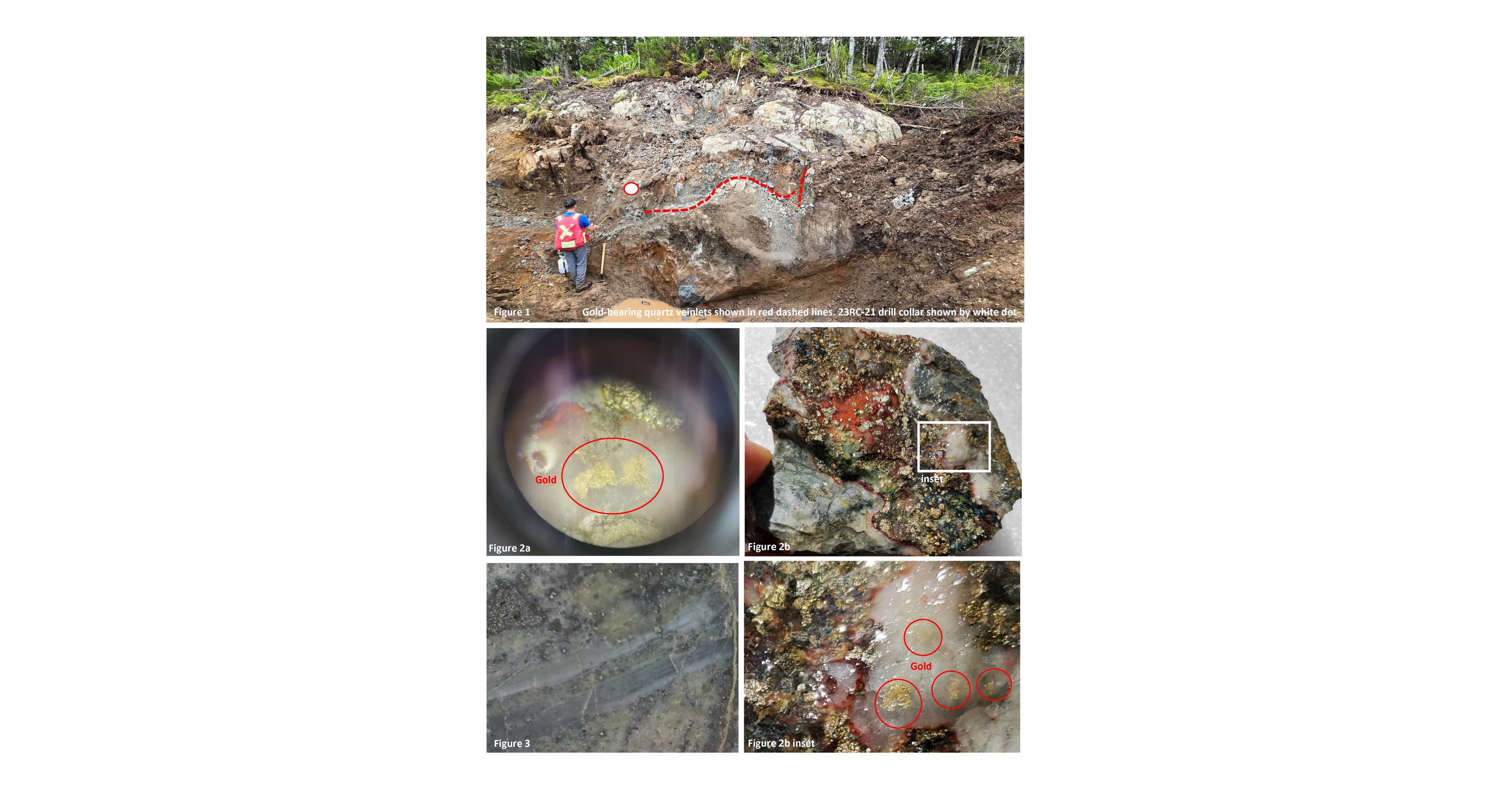 Northern Shield Finds More Visible Gold in Outcrop at Root & Cellar ...