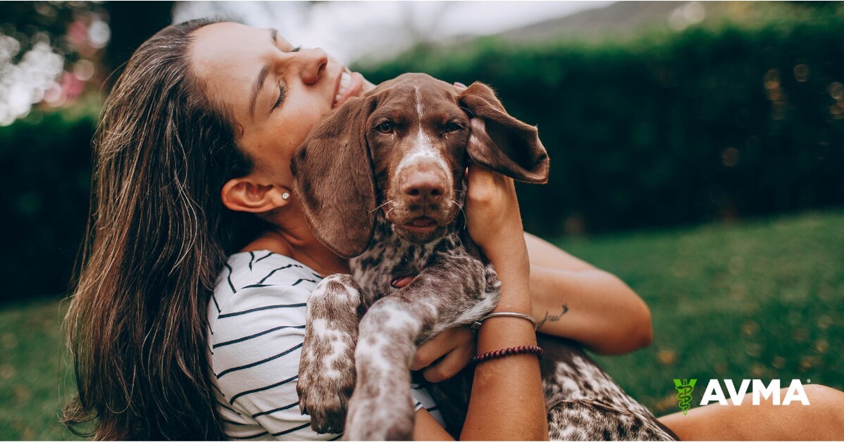 On Check the Chip Day, the AVMA stresses importance of up-to-date ...