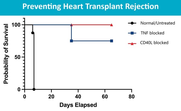 Pre-Surgical Antibody Treatment Might Prevent Heart Transplant Rejection