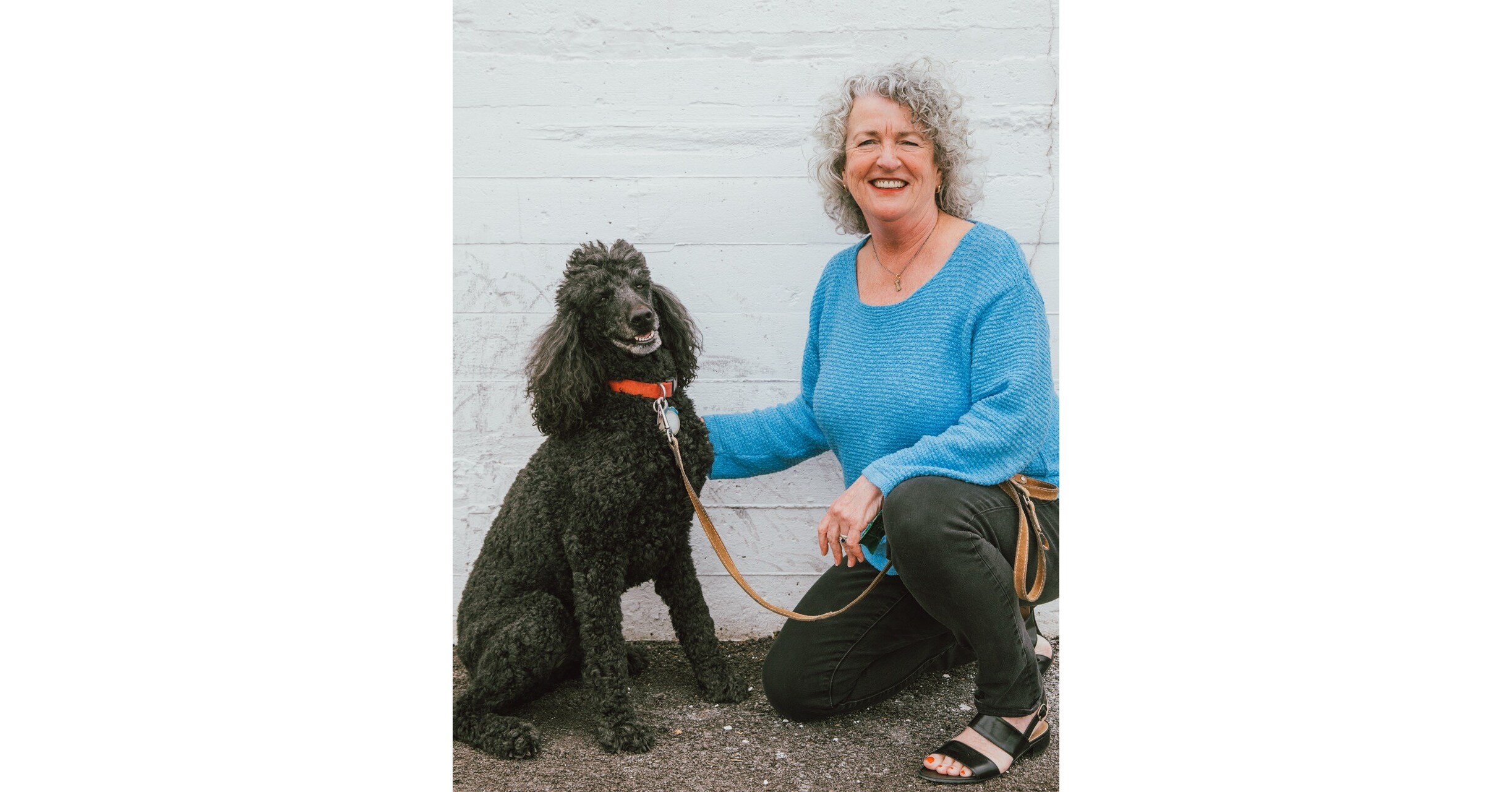 Portland Pet Food Company Secures Spot on Inc. 5000 List with ...