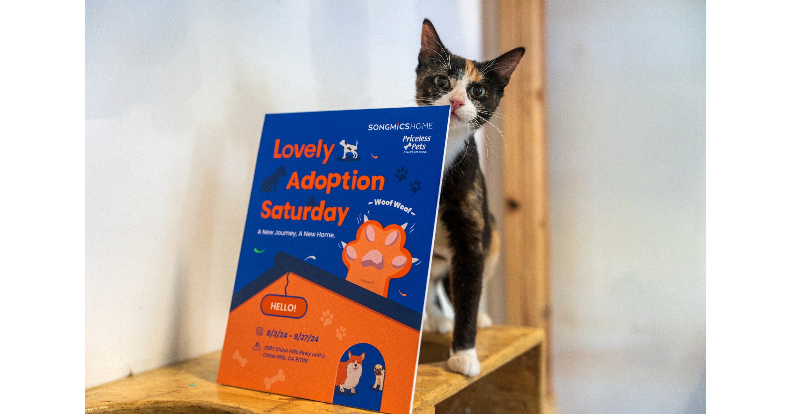 SONGMICS HOME and Priceless Pets Rescue Team Up for "Lovely Adoption ...