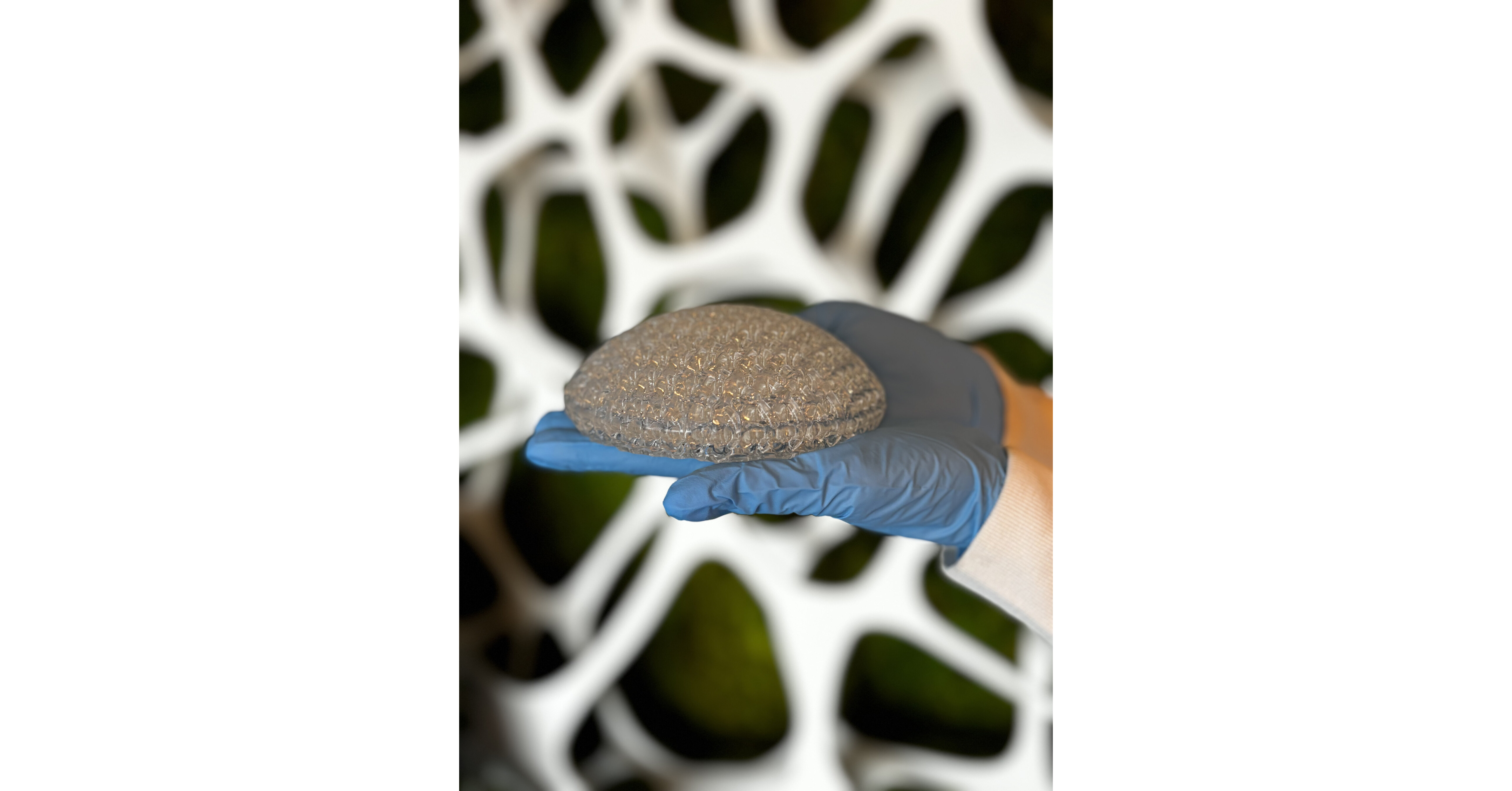 CollPlant and Stratasys Announce Pre-clinical Study for Regenerative Commercial-Sized Breast ...