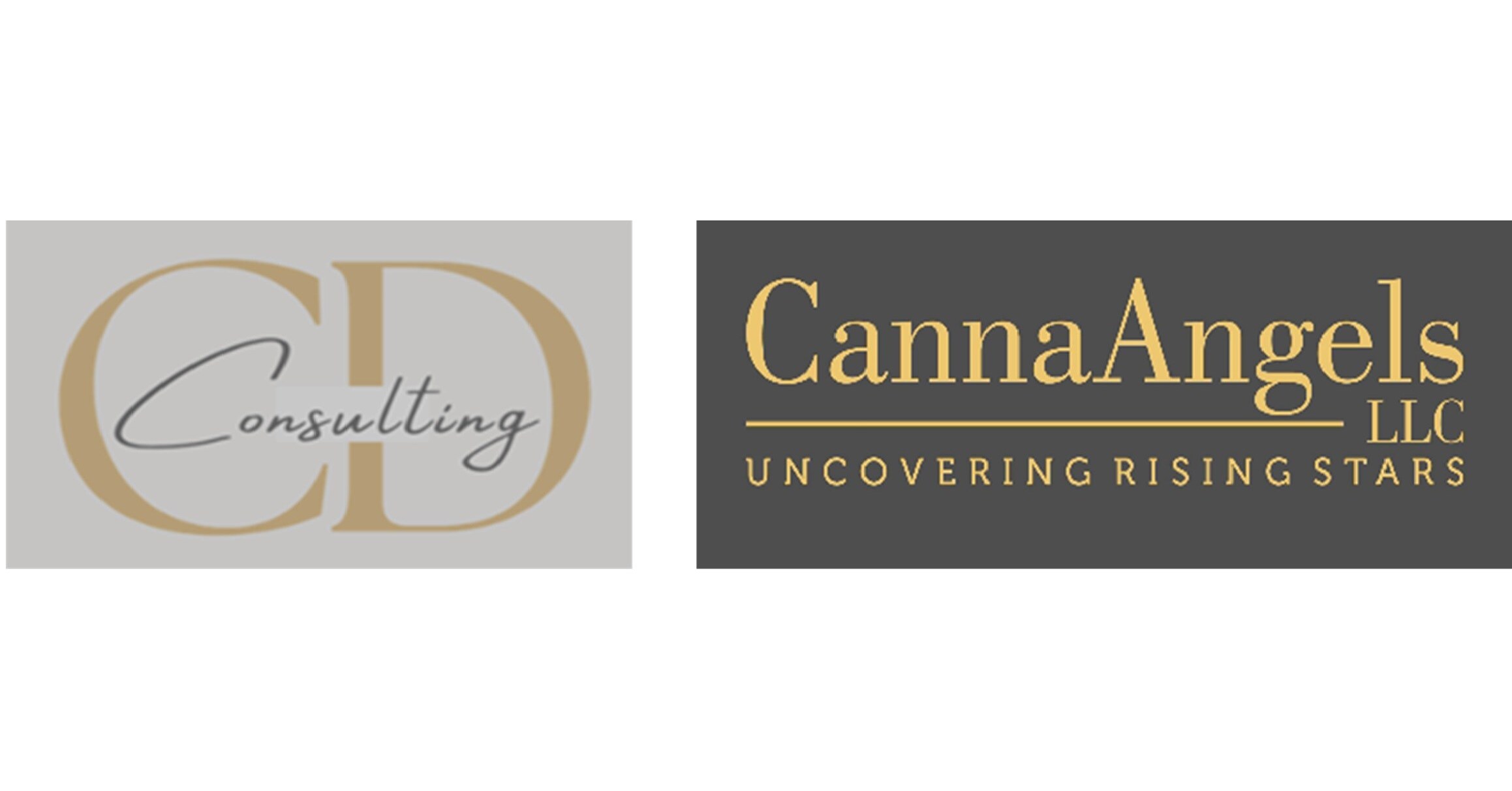 Capital Markets Leader Sherri Haskell Joins NSBA Leadership to Amplify ...