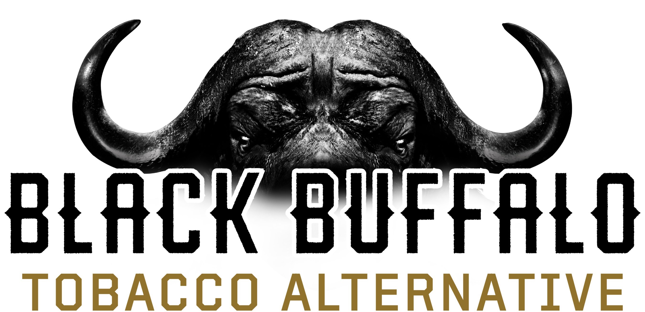 Black Buffalo Announces 2024 Herd Preferred Award Winners