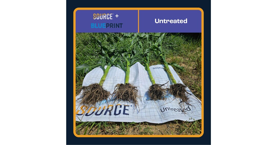 Sound Agriculture Launches New Solutions to Optimize Nutrient Efficiency