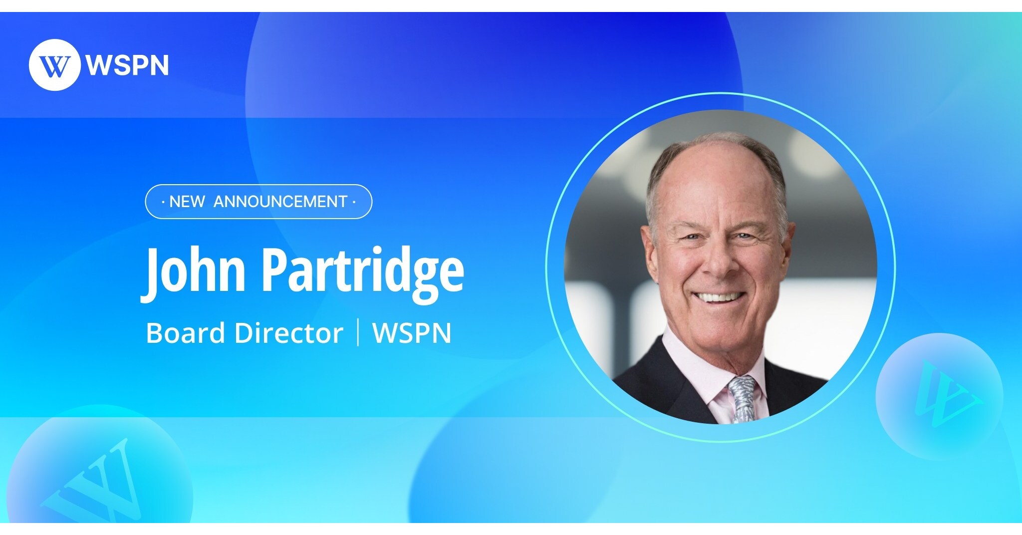 WSPN Appoints Ex-Visa President John Partridge as Board Director