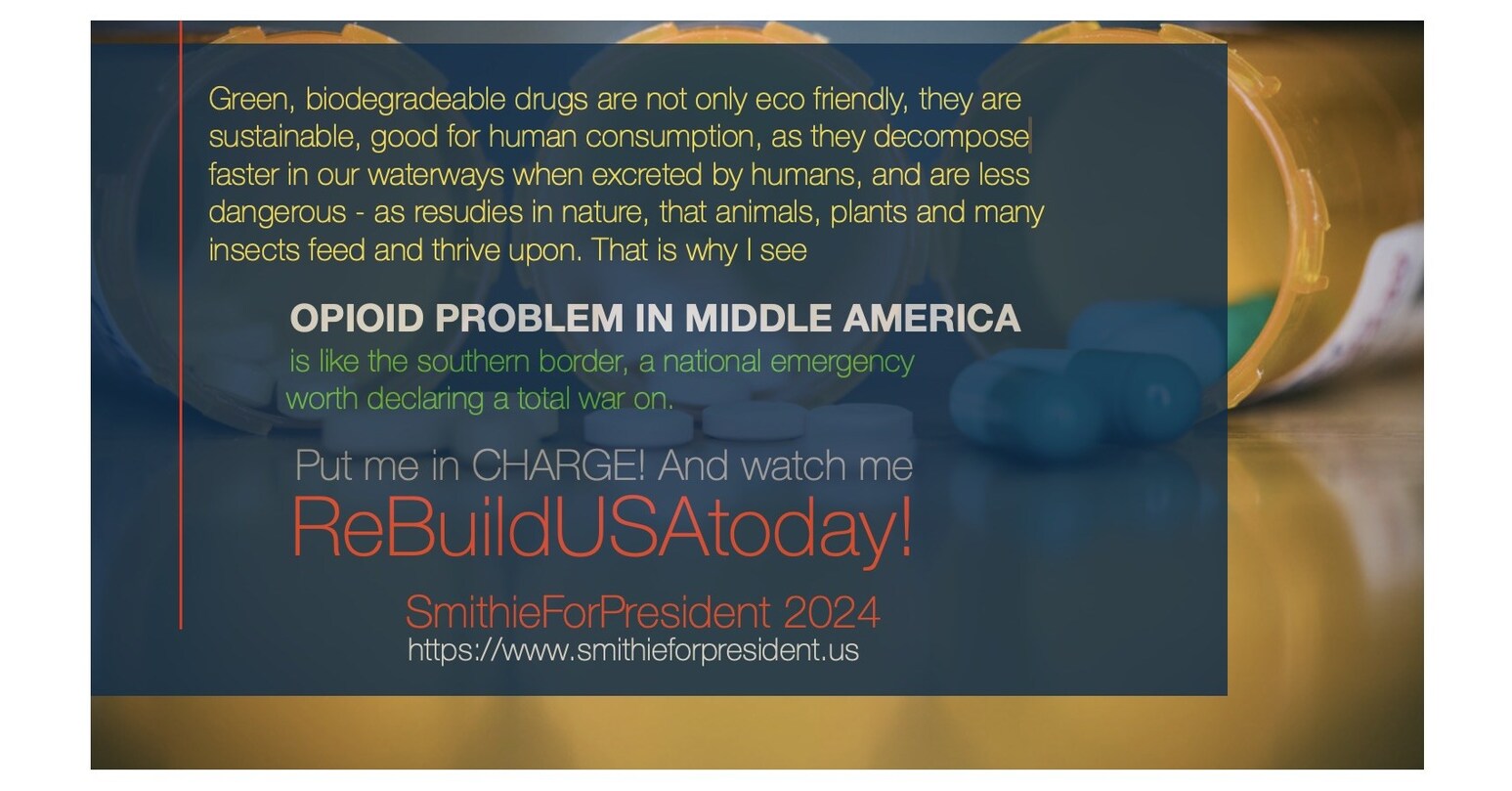 The Know-Nothing Party of America 2024: A pathway to the future