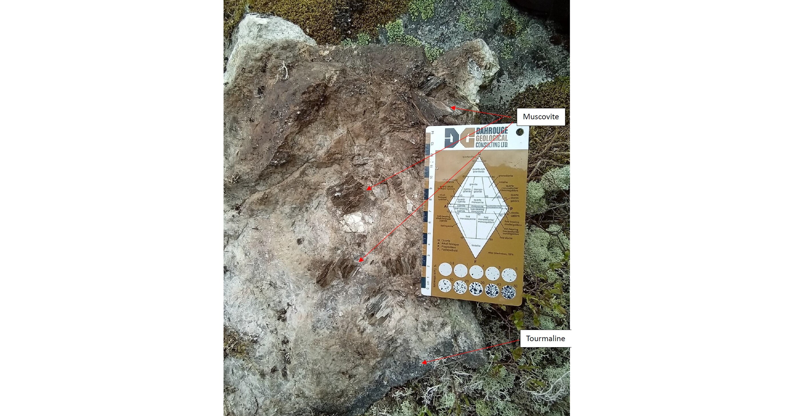 Comet Reports Results from Liberty Property Phase 1 Exploration Program