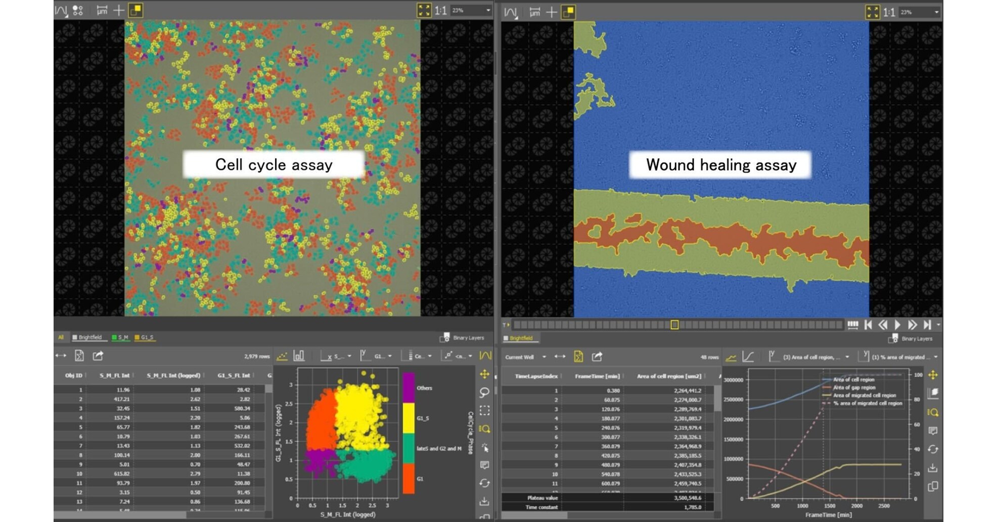 Nikon Announces New Image Analysis Functions to Empower Drug Discovery ...
