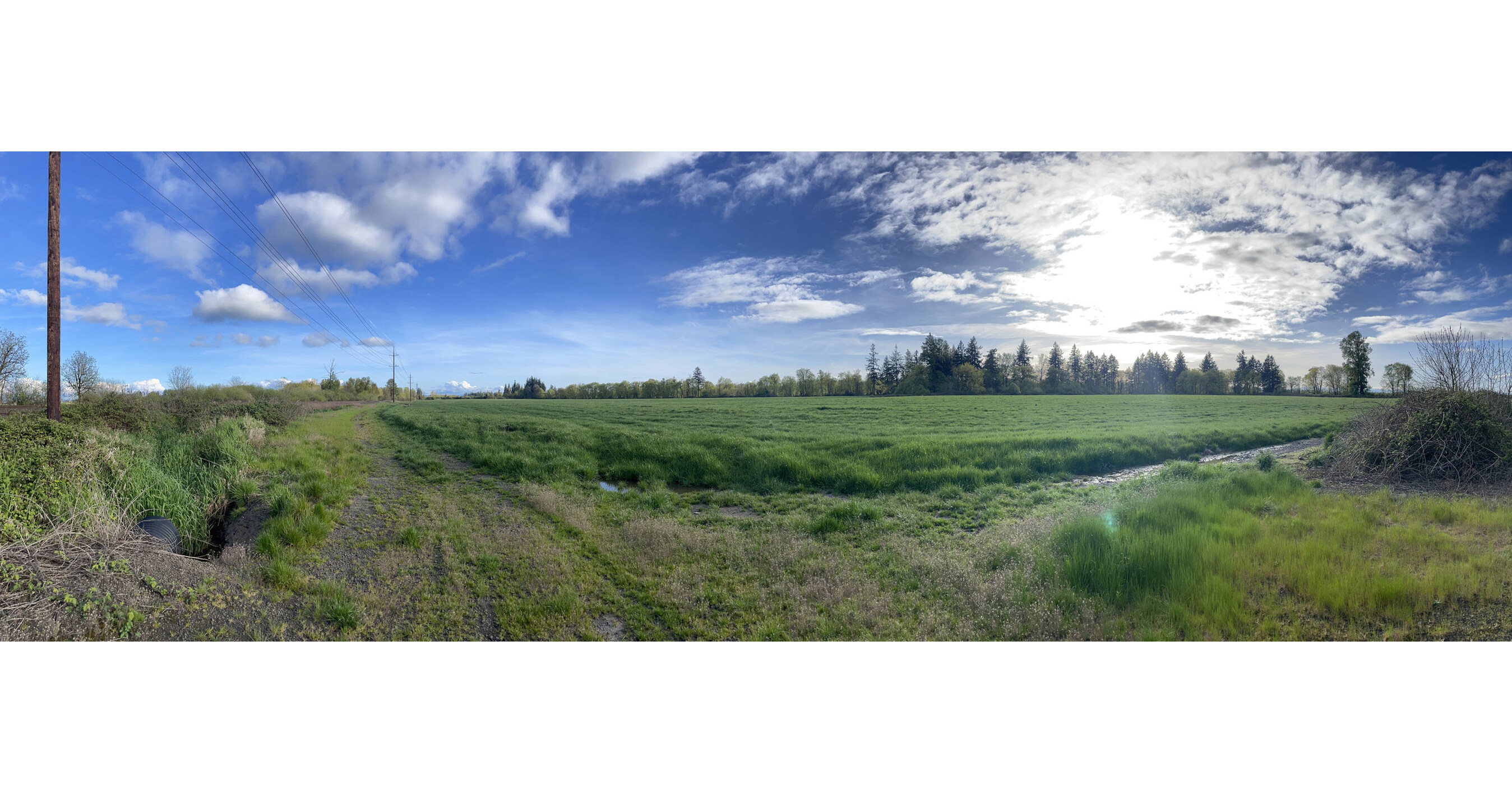 Timberlab Sets Its Sights on Millersburg as Home for Its Cross ...