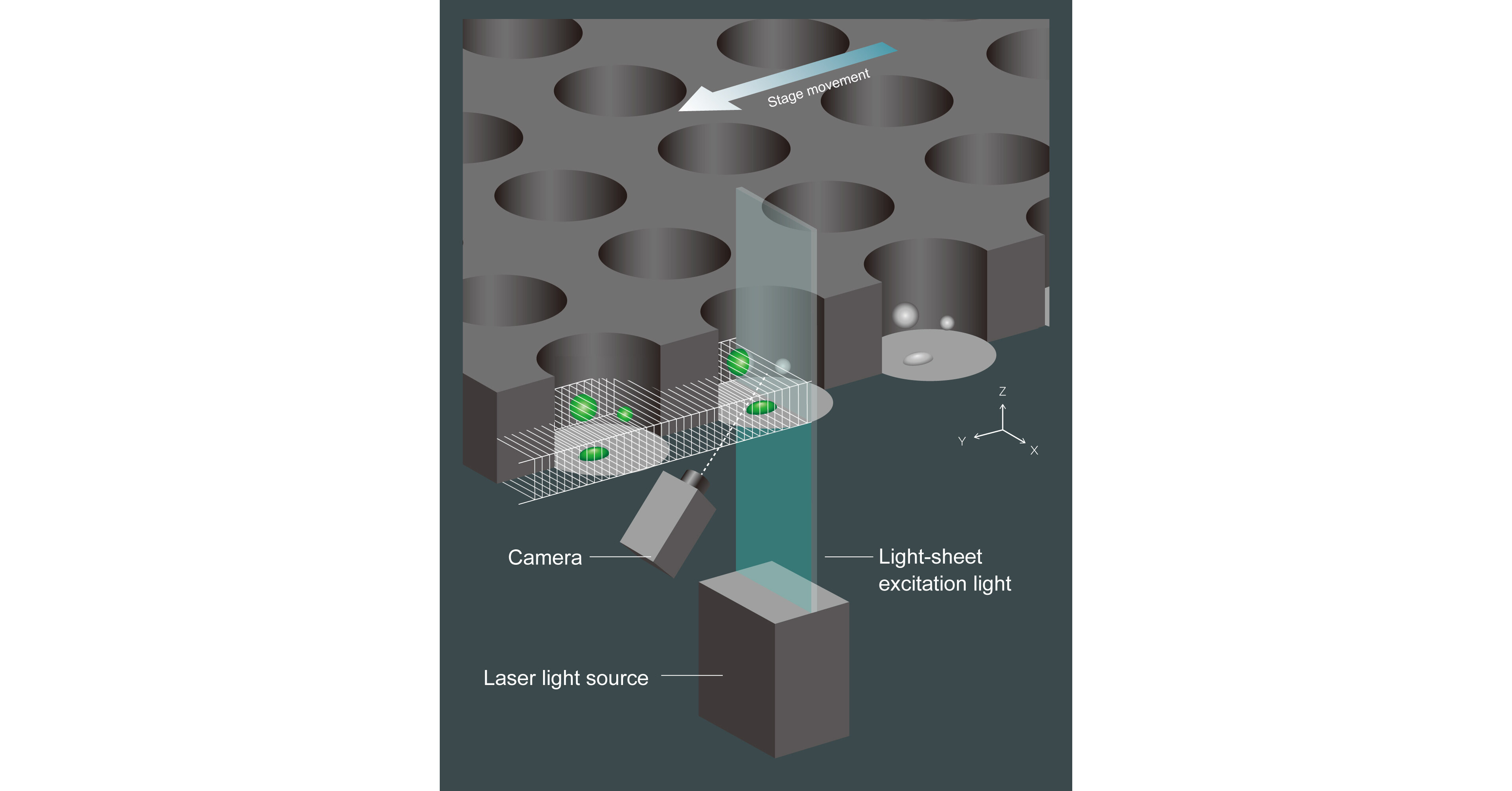 Hamamatsu Photonics introduces CYTOQUBE, a new cell analyzer combining ...