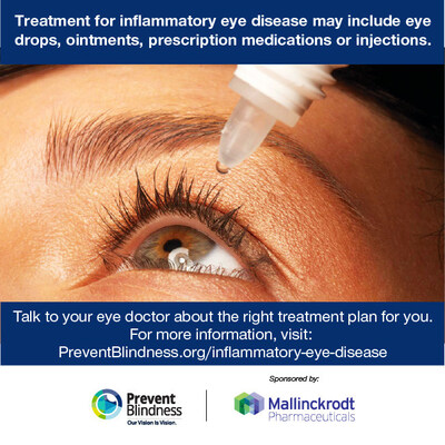 Fourth Annual Prevent Blindness Inflammatory Eye Disease (IED ...