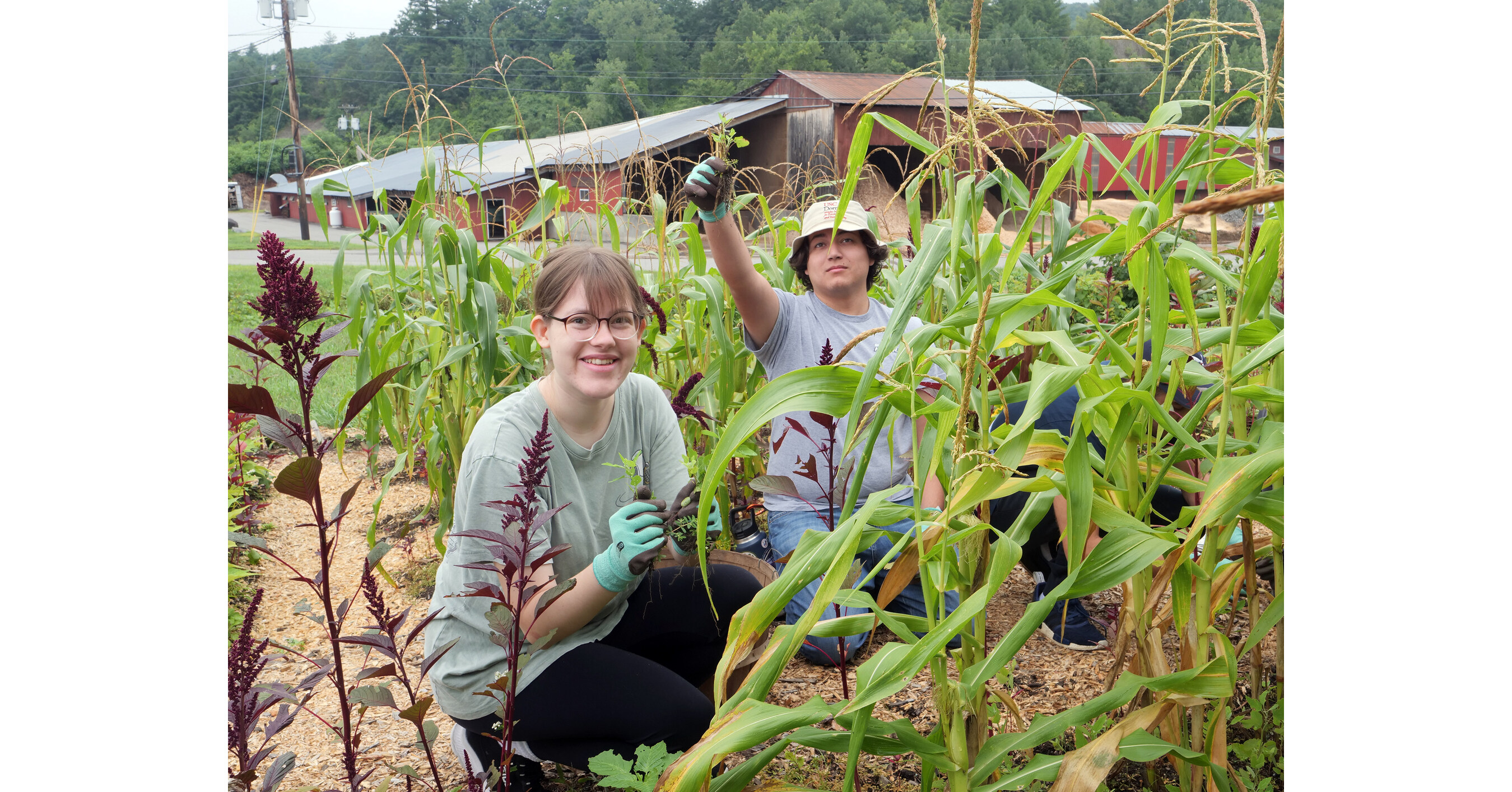 Bridging Coasts: California Students Collaborate with Vermont Community ...