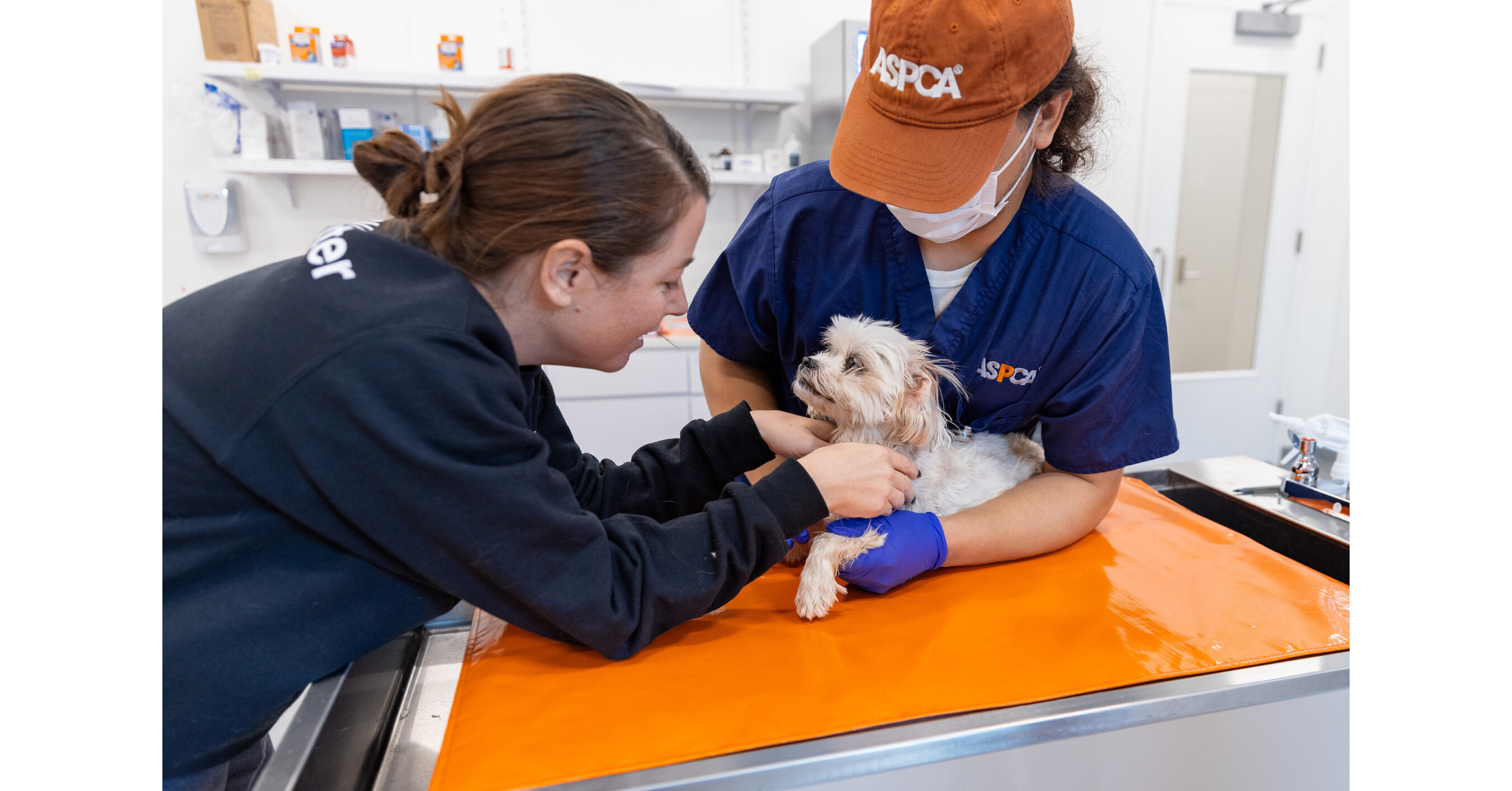ASPCA® Opens Third Community Veterinary Clinic in New York City ...