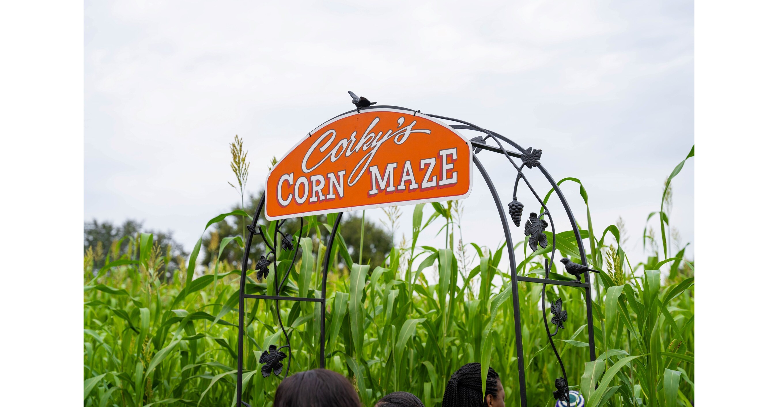 Celebrate the Fall Season with a Family Favorite: Harvest Days Festival ...