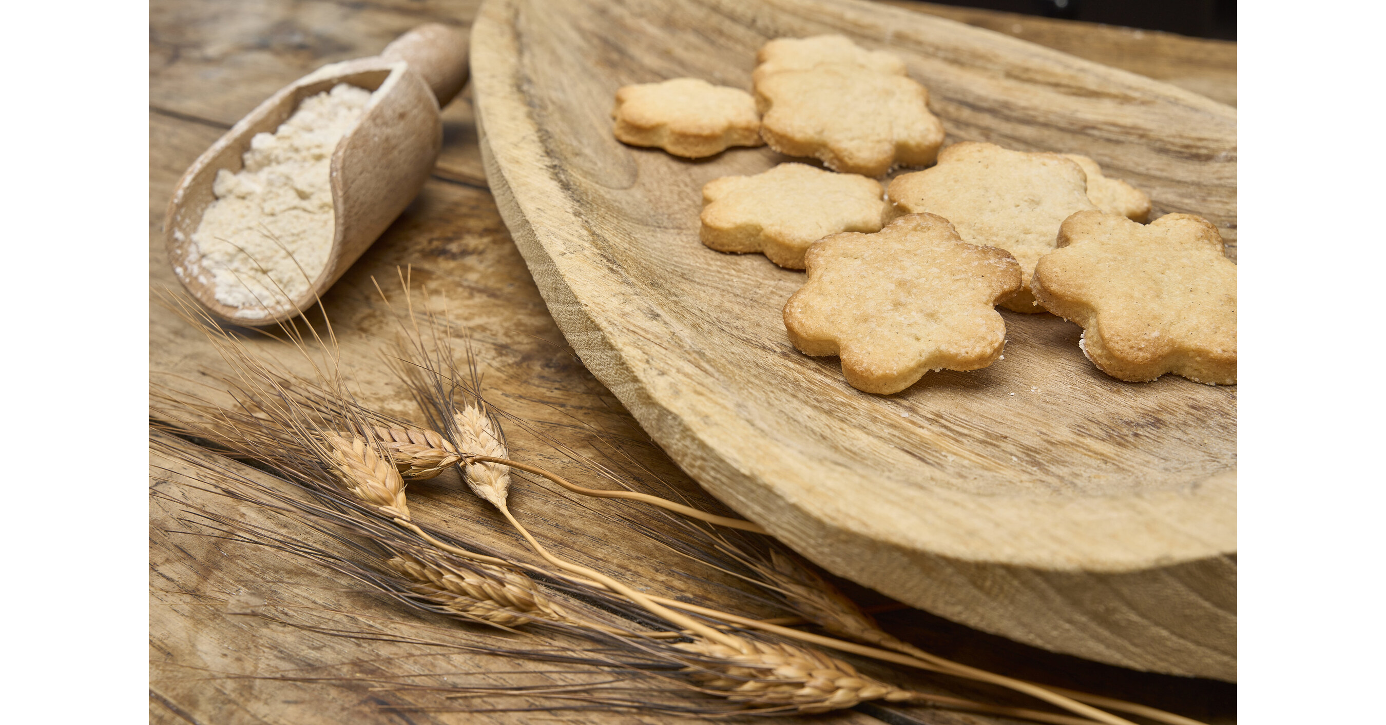 Teatime biscuits with organic flour and semolina: an easy, tempting ...