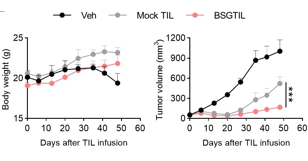 Biosyngen Best-in-Class Next-Generation Tumor-Infiltrating Lymphocyte ...