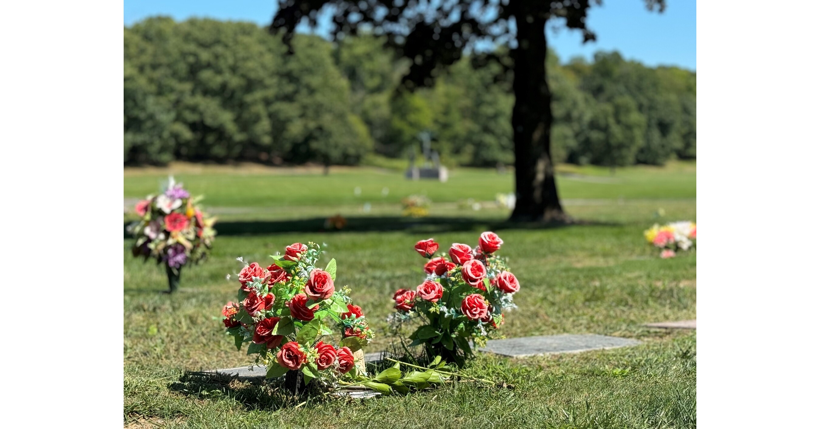 Protecting Your Loved Ones Is Easy With 0% Interest & 48 Months at ...