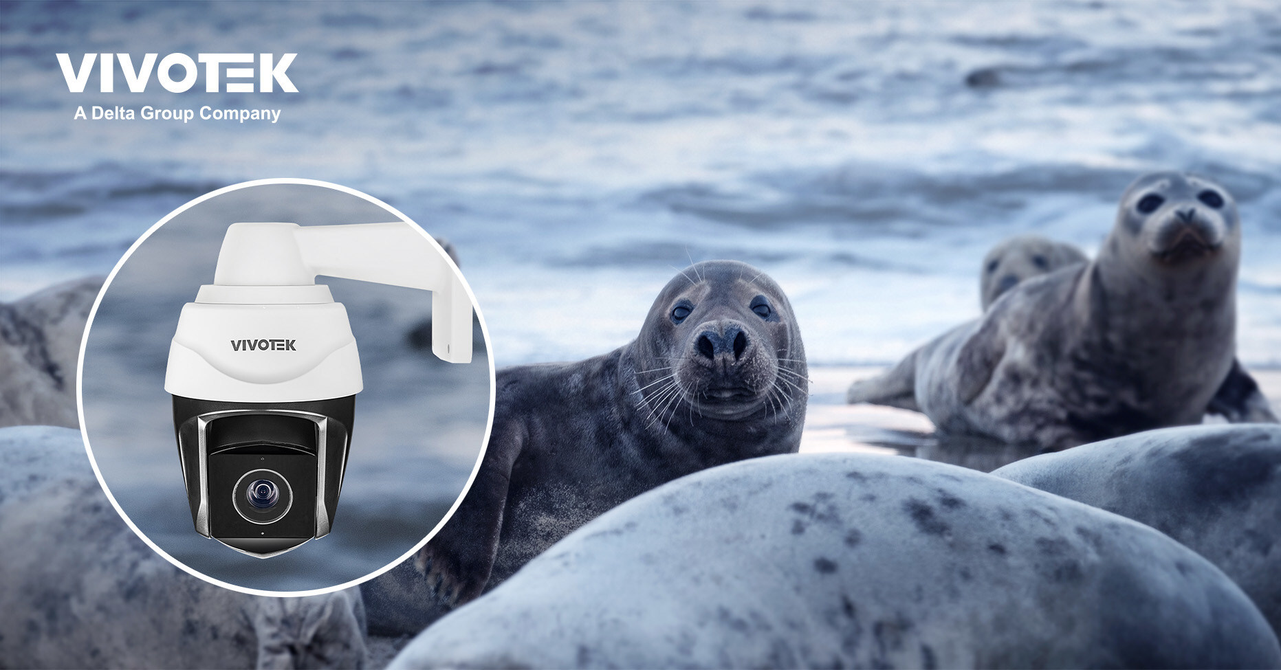 VIVOTEK's AI Security Solution Boosts Wildlife Conservation for ...