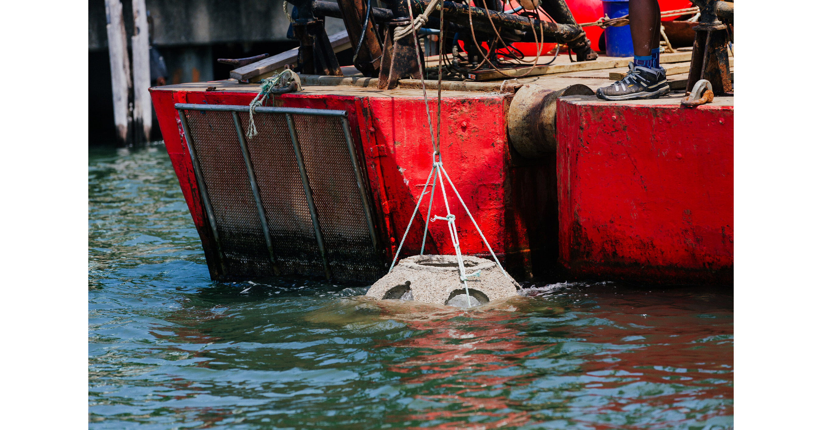 Viam Partners with Billion Oyster Project to Support New York Harbor ...