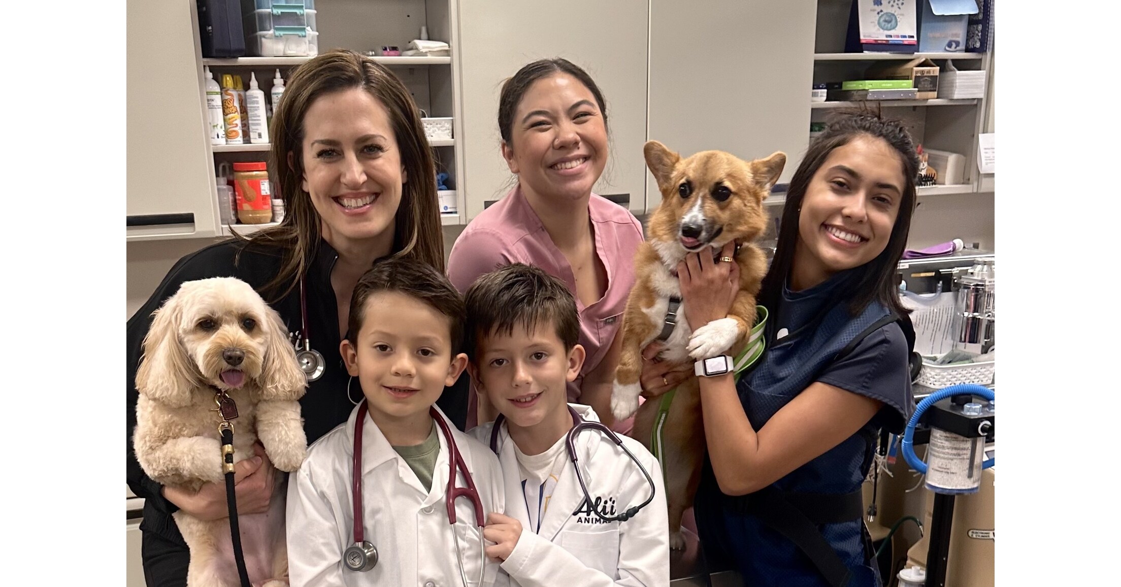 Alii Animal Hospital and Resort Celebrates its 5-Year Anniversary with ...