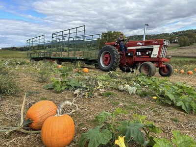Jumbo's Pumpkin Patch Celebrates 30th Anniversary: A Legacy of Family ...