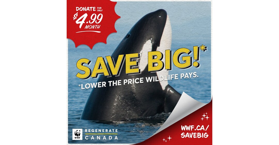 Don't miss your chance to Save Big: massive habitat protections, new ...
