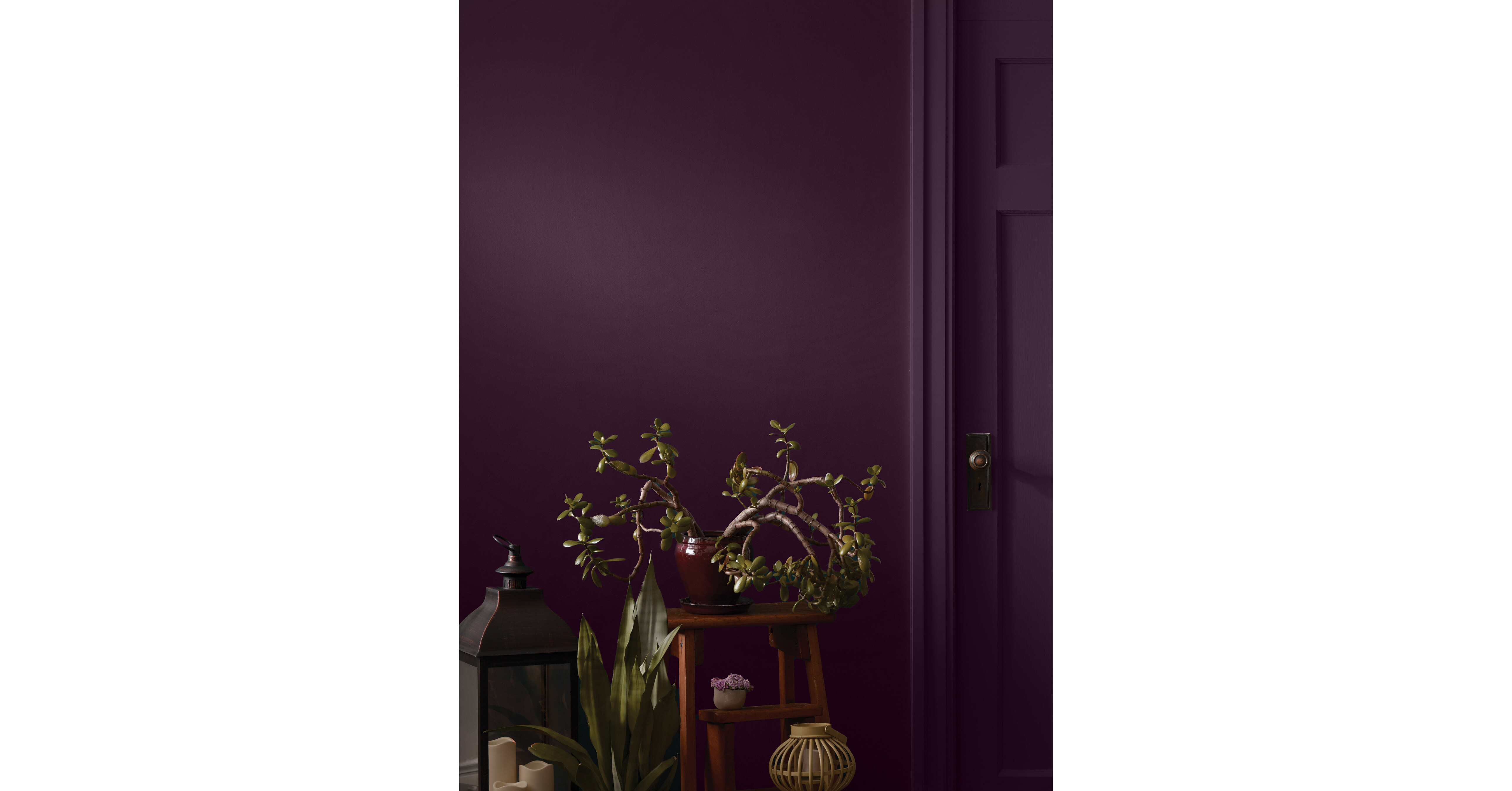 Moody and mysterious: BeautiTone unveils 2025 Colour of the Year ...