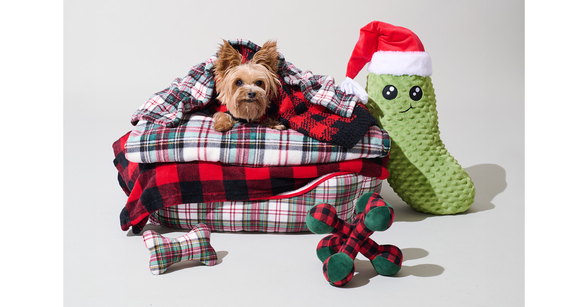 Petco Launches Holiday Collection Featuring New, Exclusive Statement ...