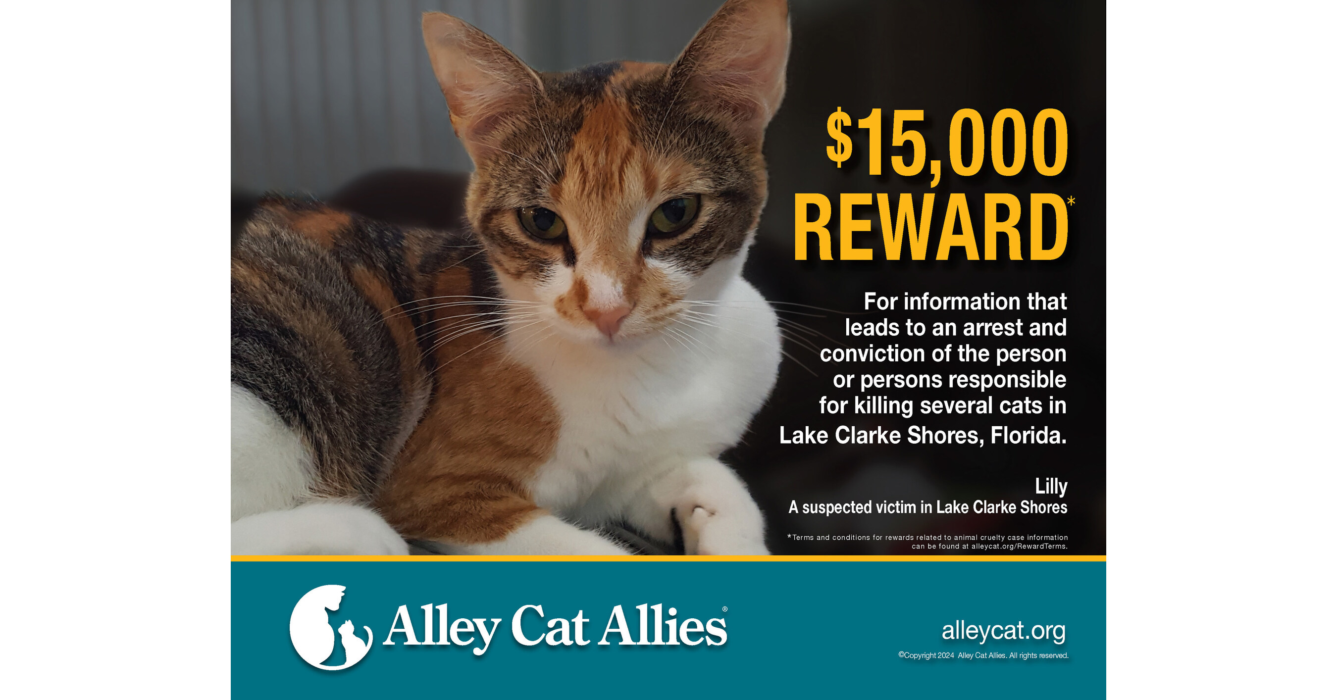 Alley Cat Allies Doubles Reward to $15,000 for Information on Cat ...