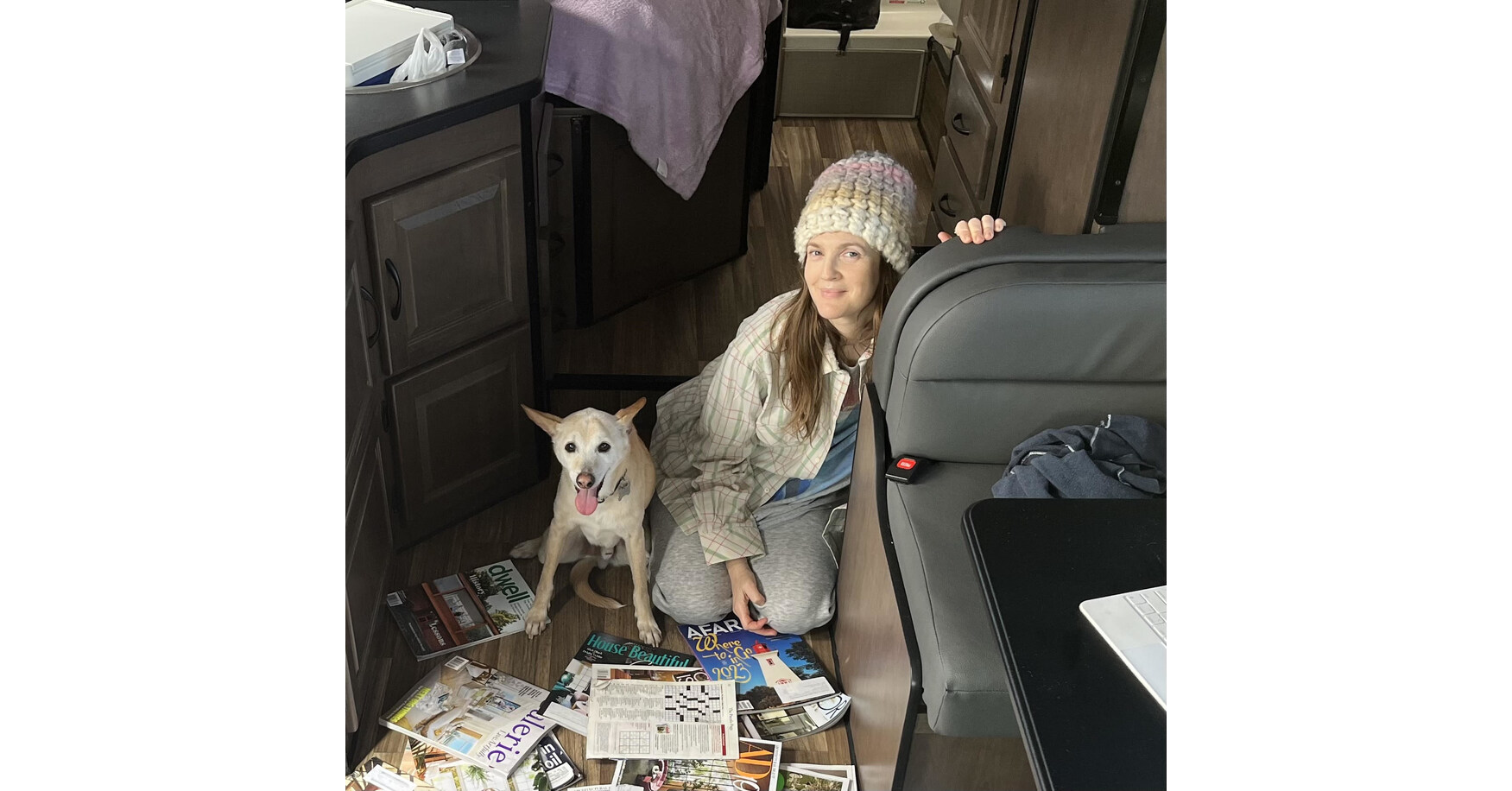 Drew Barrymore and Dave Bautista Join the ASPCA to Celebrate Adopt a ...
